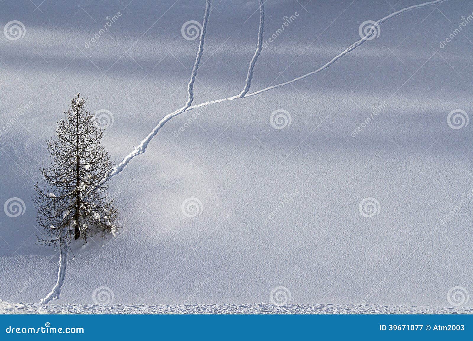 Soledad del invierno imagen de archivo. Imagen de invierno - 39671077