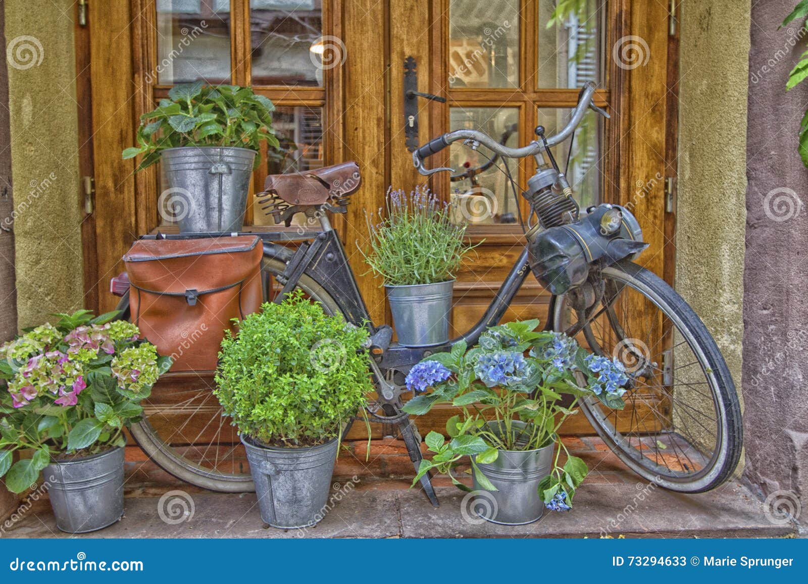 Solex Exhibition Stock Photos - Free & Royalty-Free Stock Photos from ...