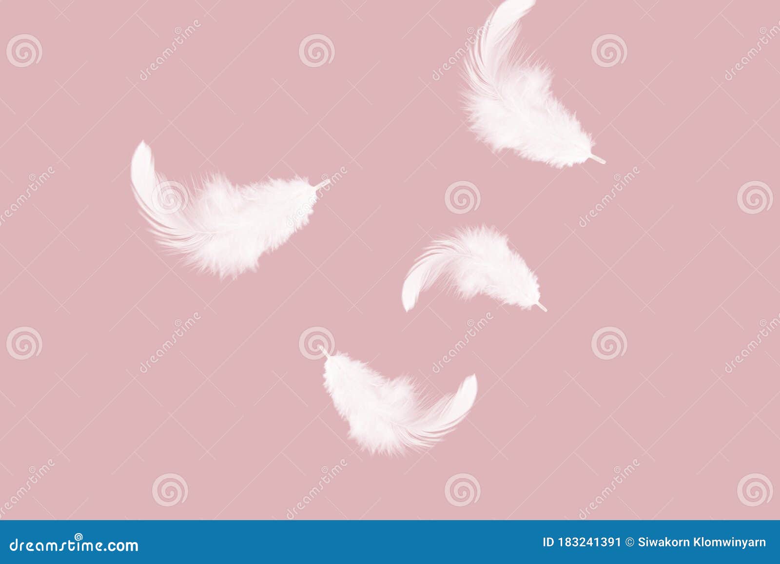 Solf Fluffy White Feathers Falling Down in the Air Stock Image - Image ...