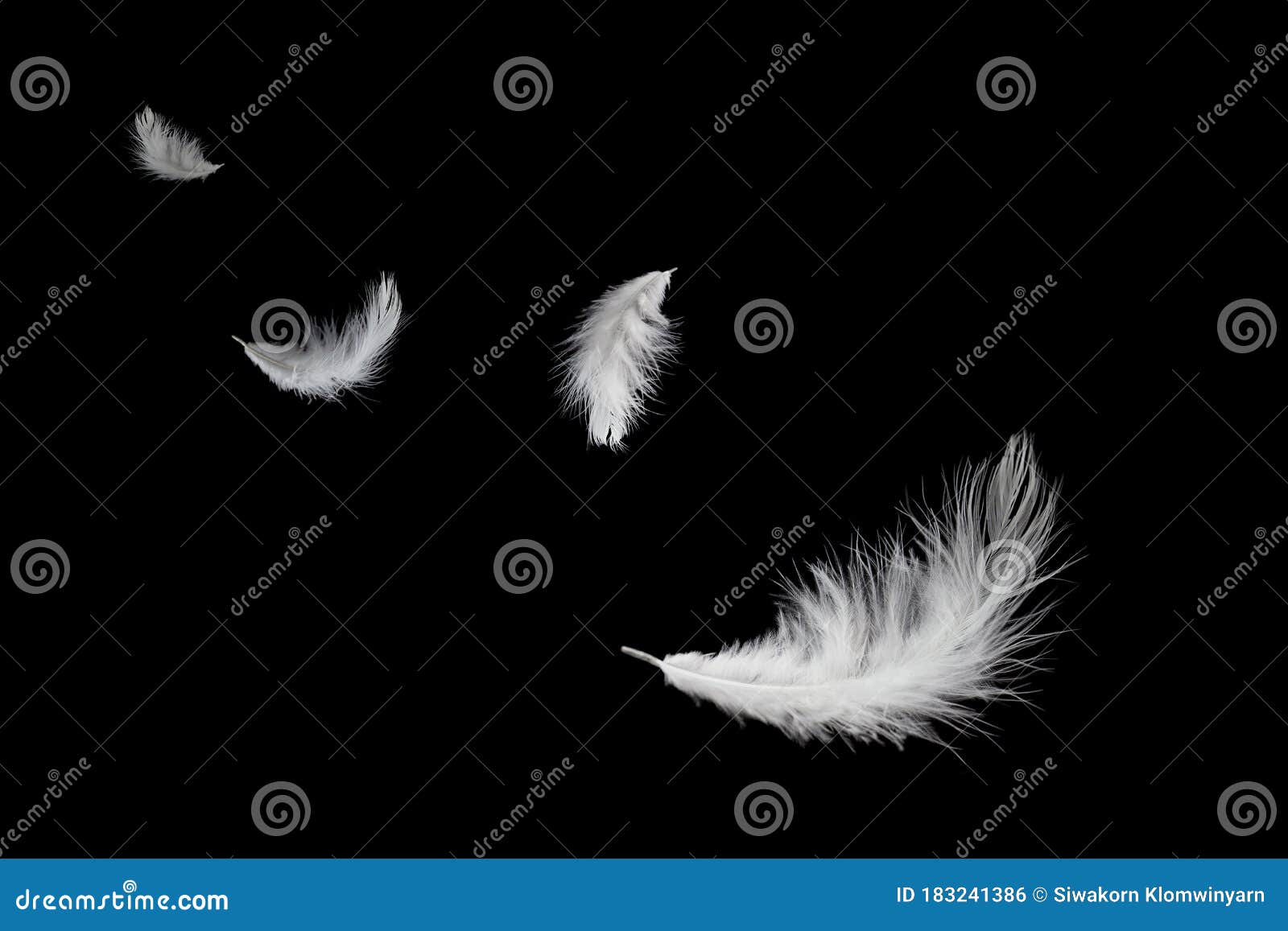 Solf Fluffy White Feathers Floating in the Dark Stock Photo - Image of ...