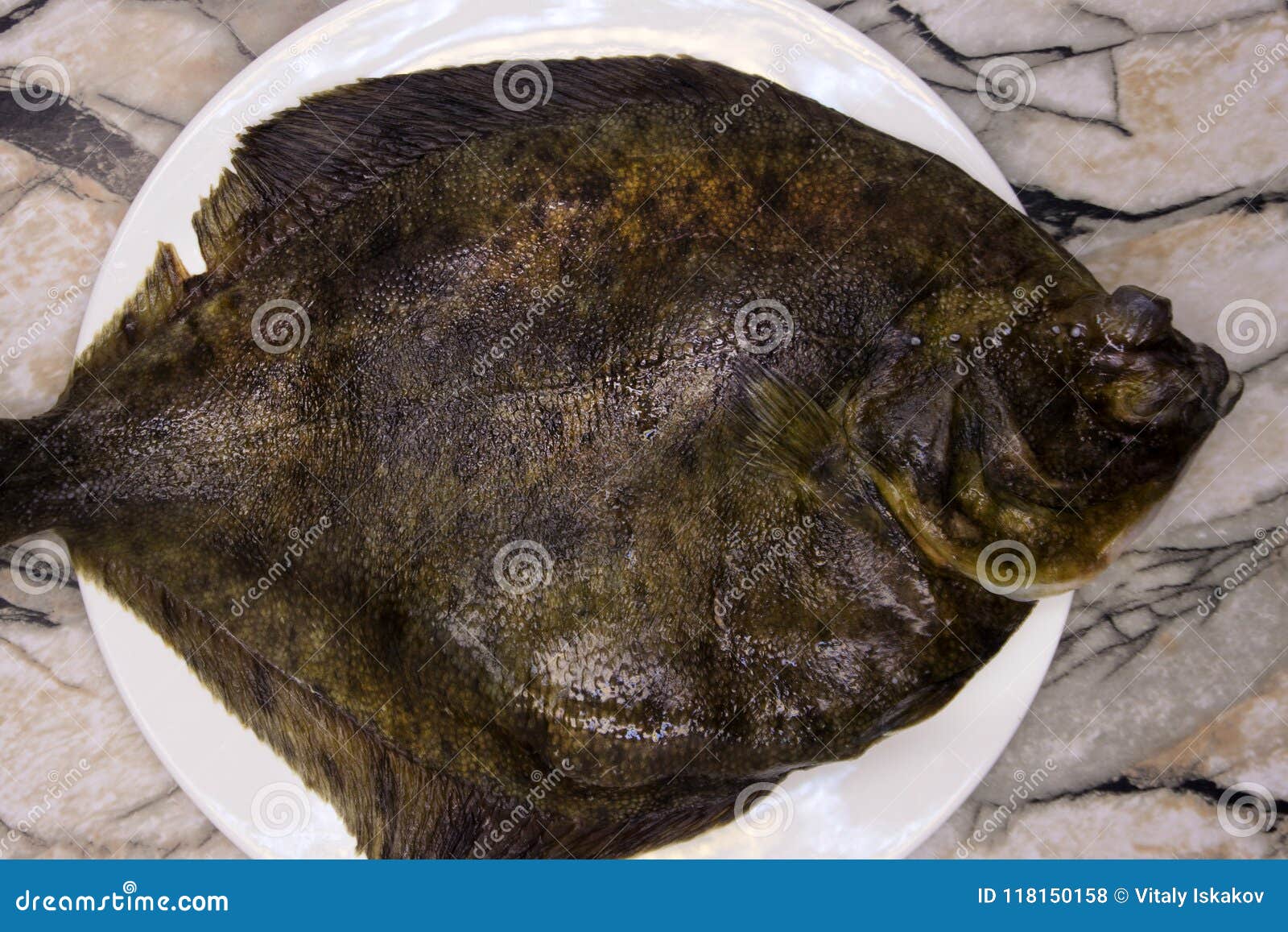 Solha Dos Peixes No Fundo Branco Foto de Stock - Imagem de gourmet ...