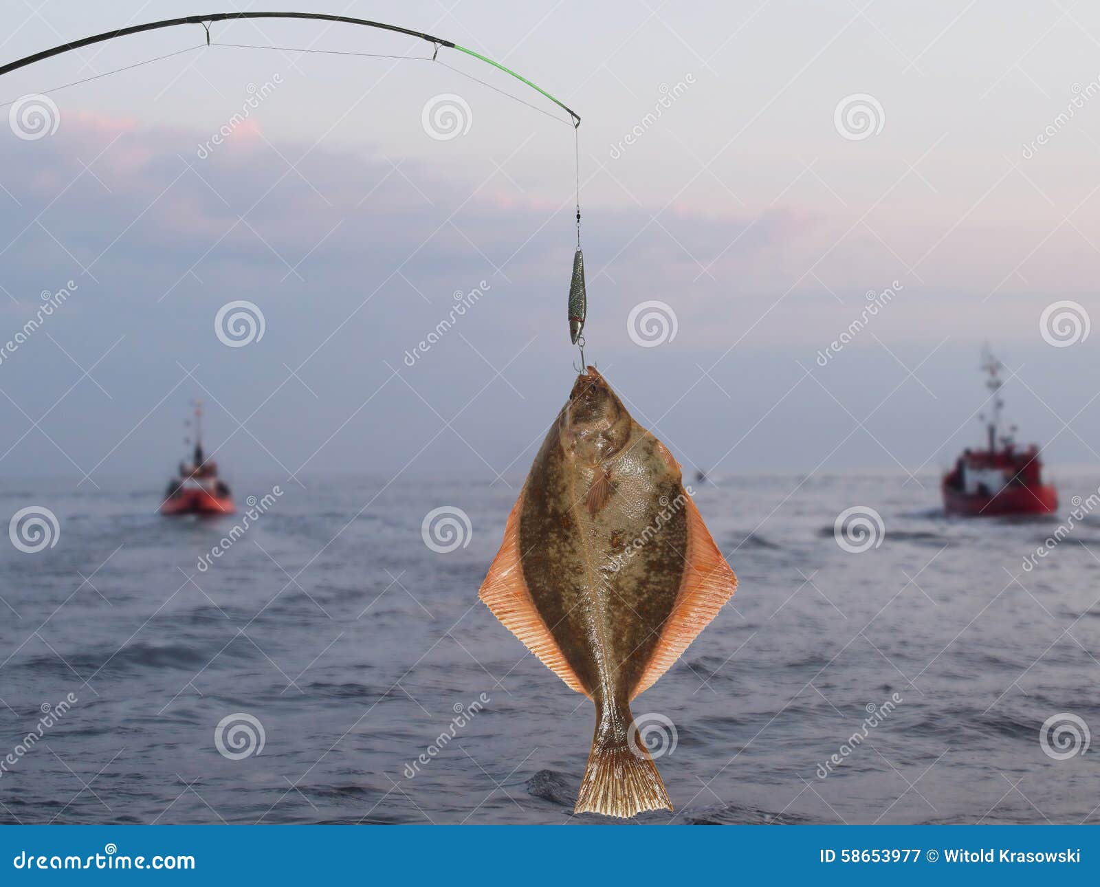 Solha grande dos peixes imagem de stock. Imagem de molhado - 58653977