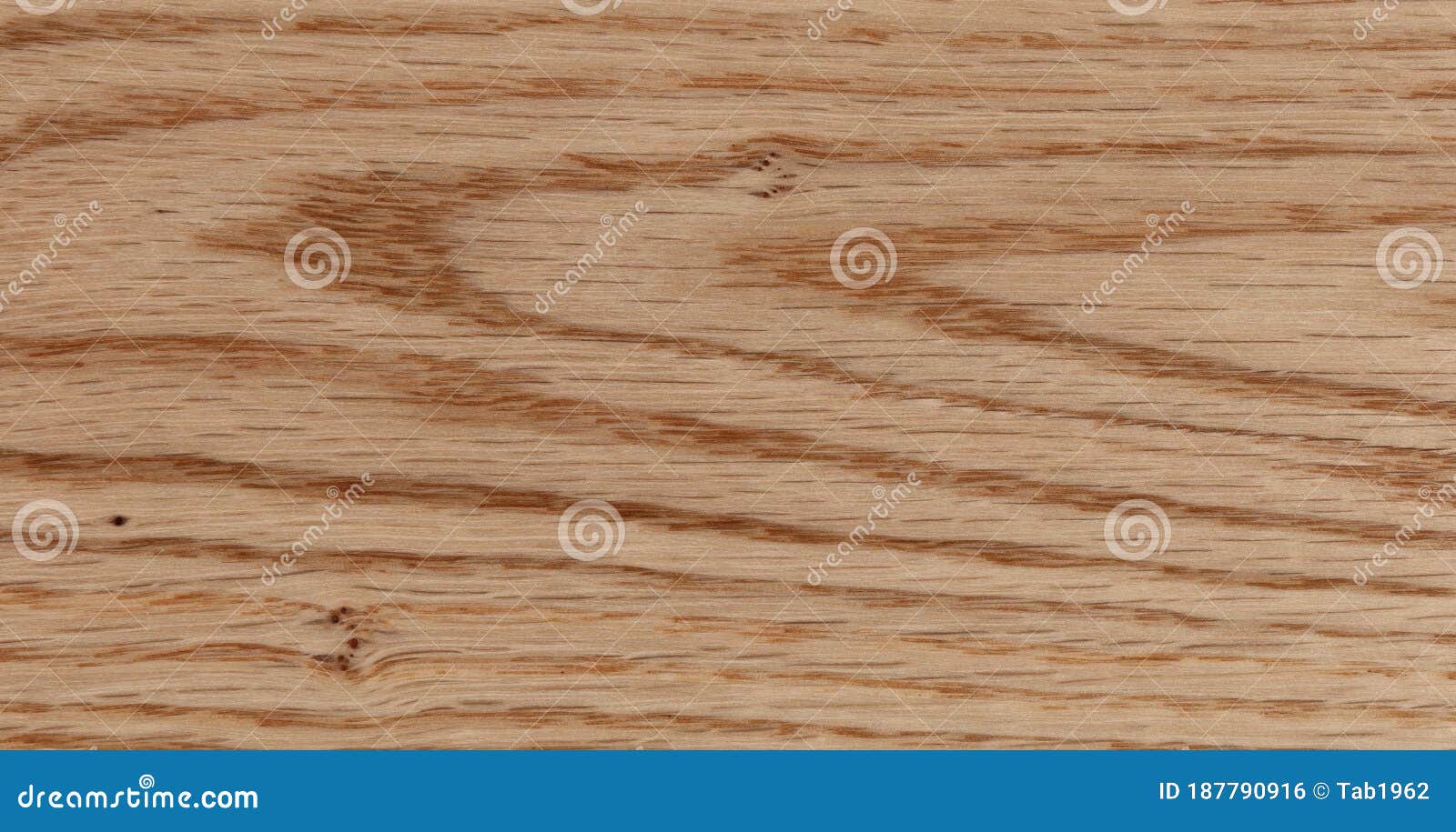 Solid American Red Oak Wood Texture Background in Filled Frame Format ...