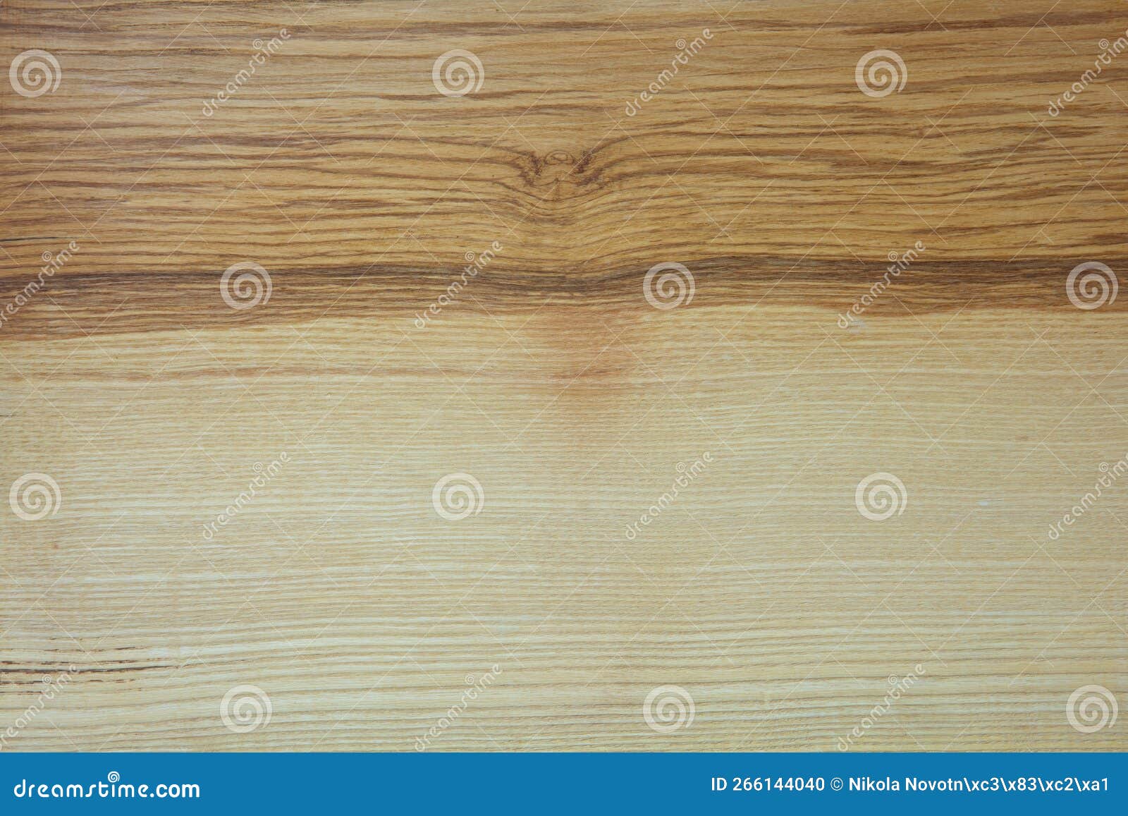 Solid Ash wood structure stock photo. Image of woodplank - 266144040