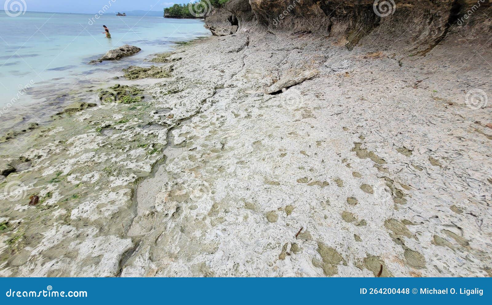 Solid Beach Floor Rock stock photo. Image of geology - 264200448
