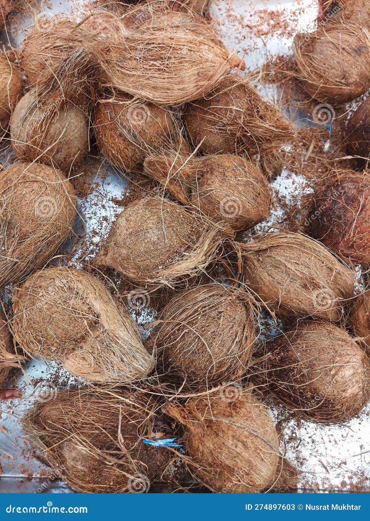 Solid dried coconut stock image. Image of cuisine, breakfast - 274897603