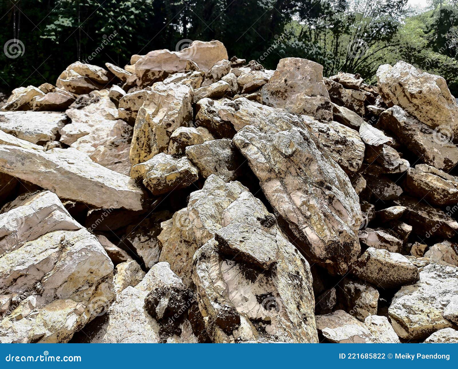 Solid foundation stones. stock photo. Image of trunk - 221685822