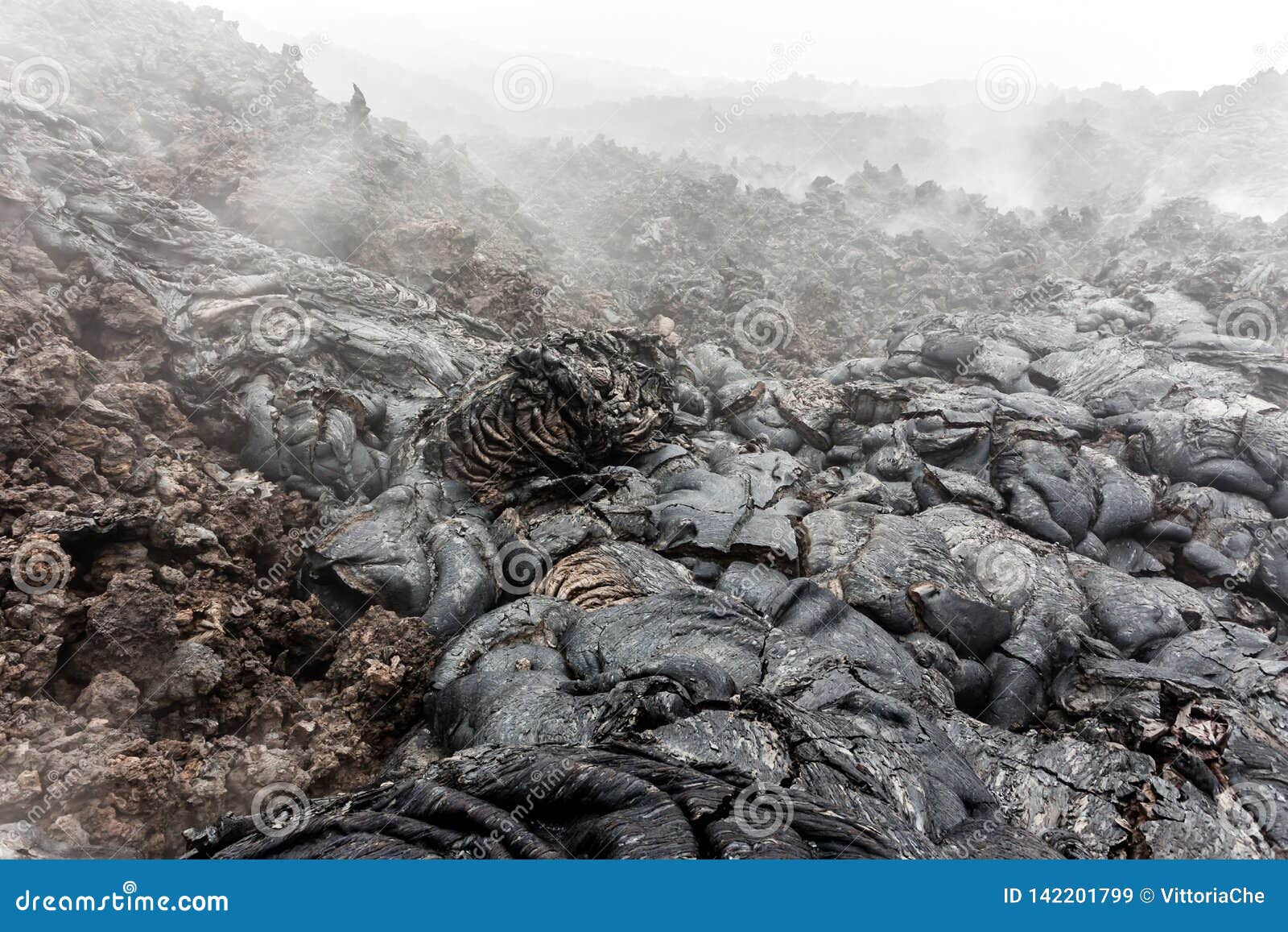Solid Lava Flow Near Active Volcano Tolbachik, Kamchatka Peninsula ...