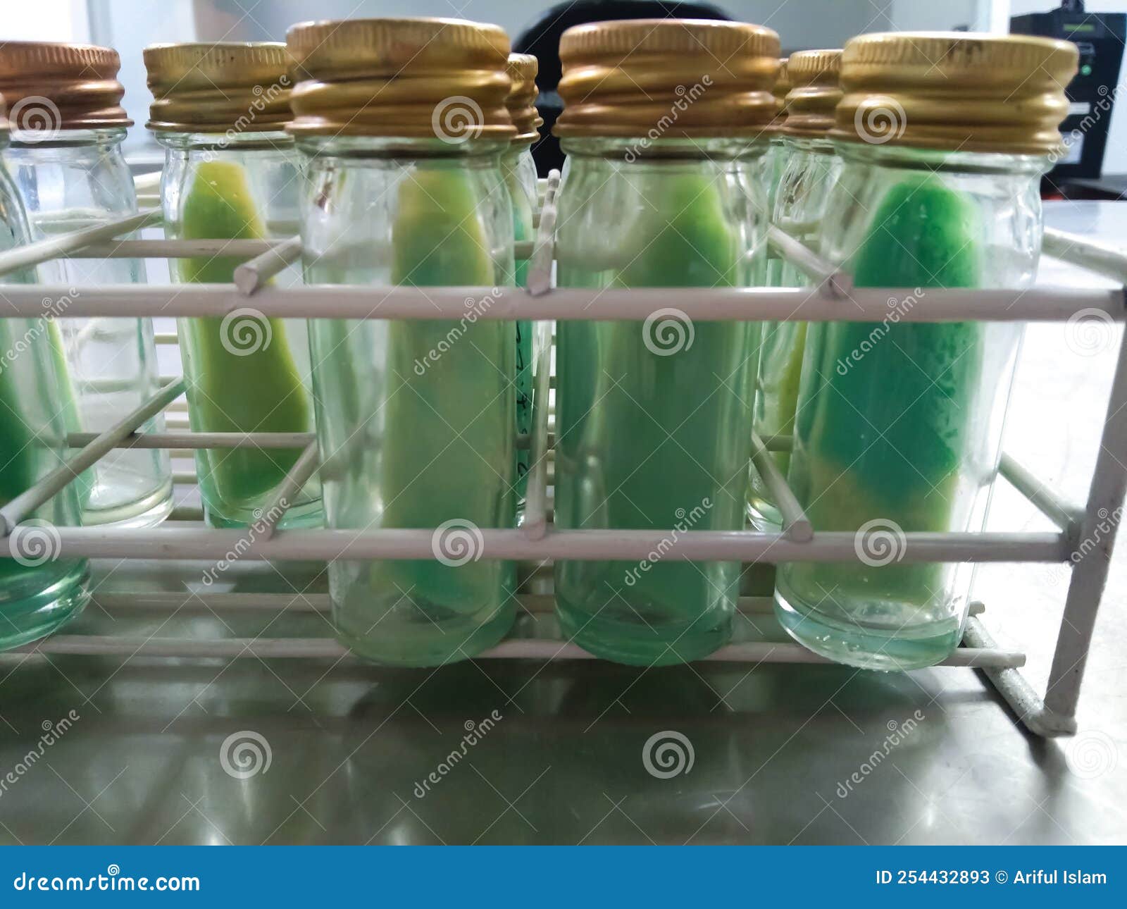 Solid Lowensteinâ€“Jensen Agar Medium Bottle. Stock Image - Image of ...