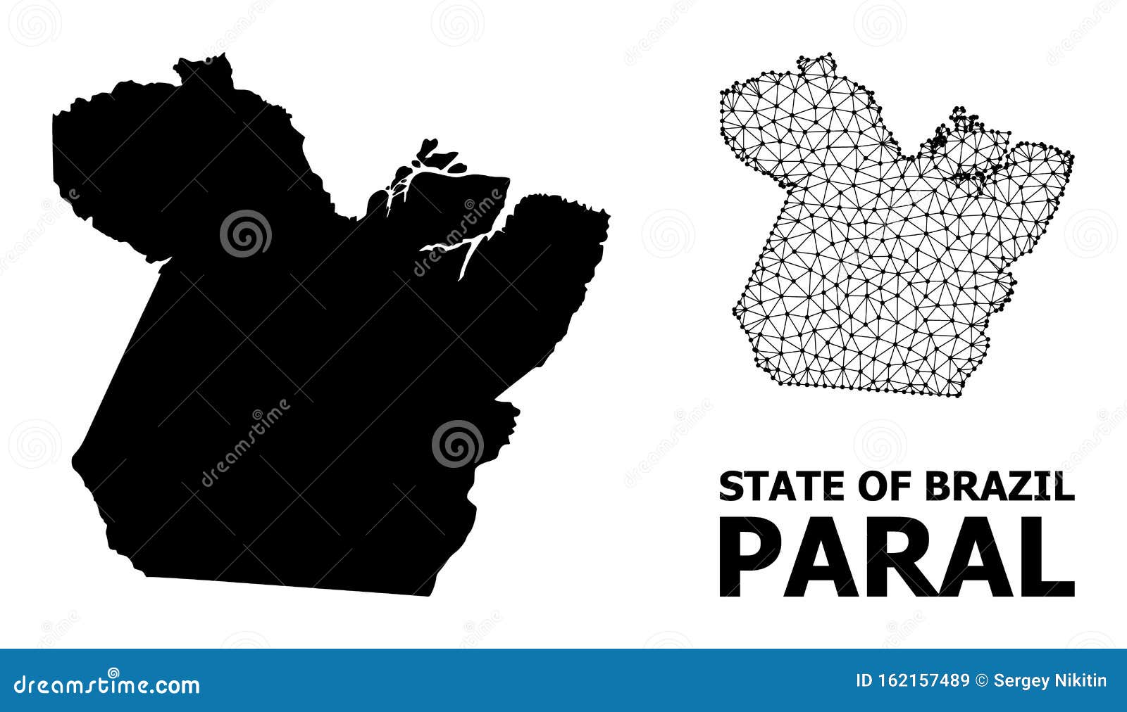 Solid and Network Map of Paral State Stock Vector - Illustration of ...
