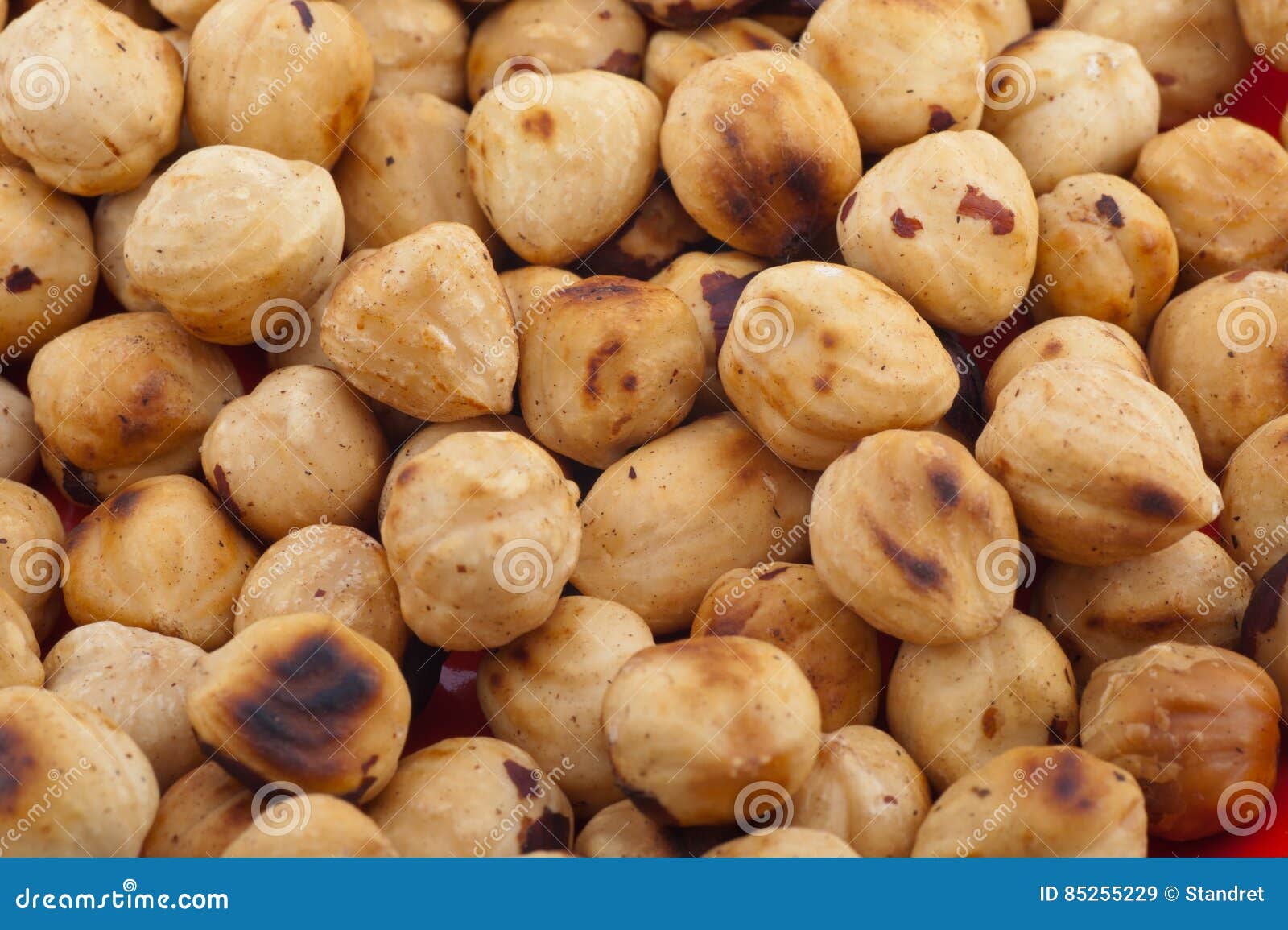 Solid Nuts Isolated stock image. Image of nature, peels - 85255229