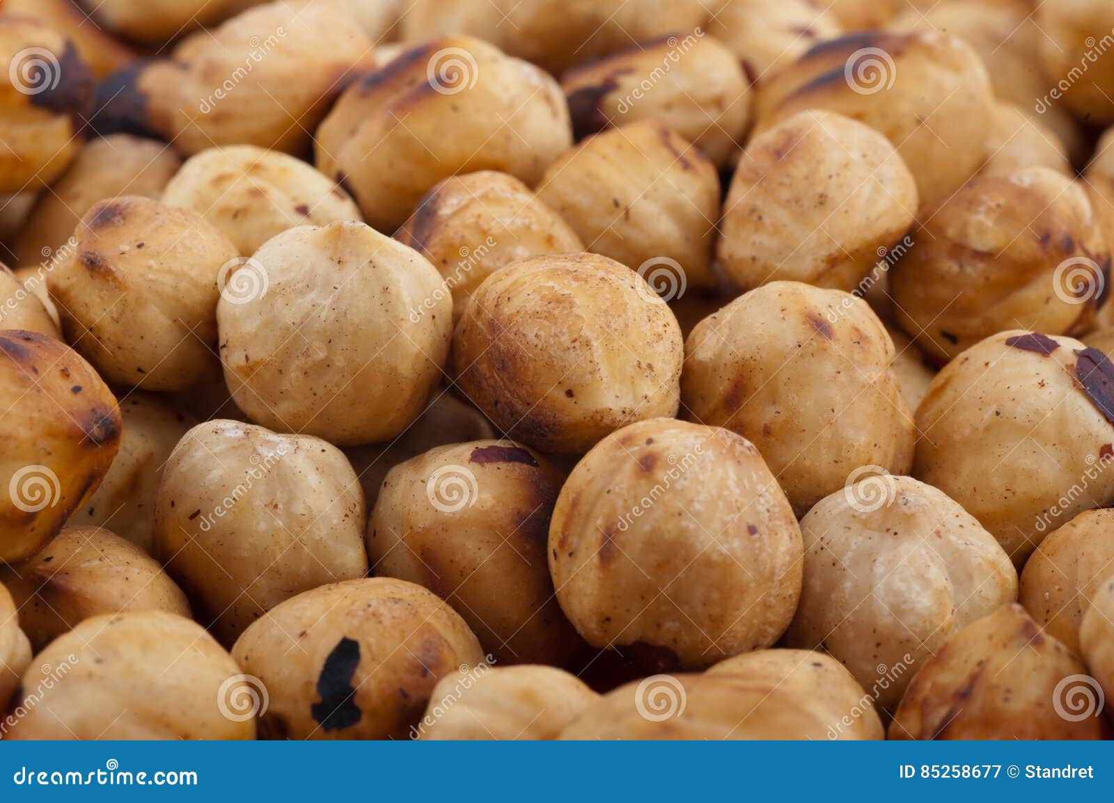 Solid Nuts Isolated stock image. Image of healthy, nature - 85258677