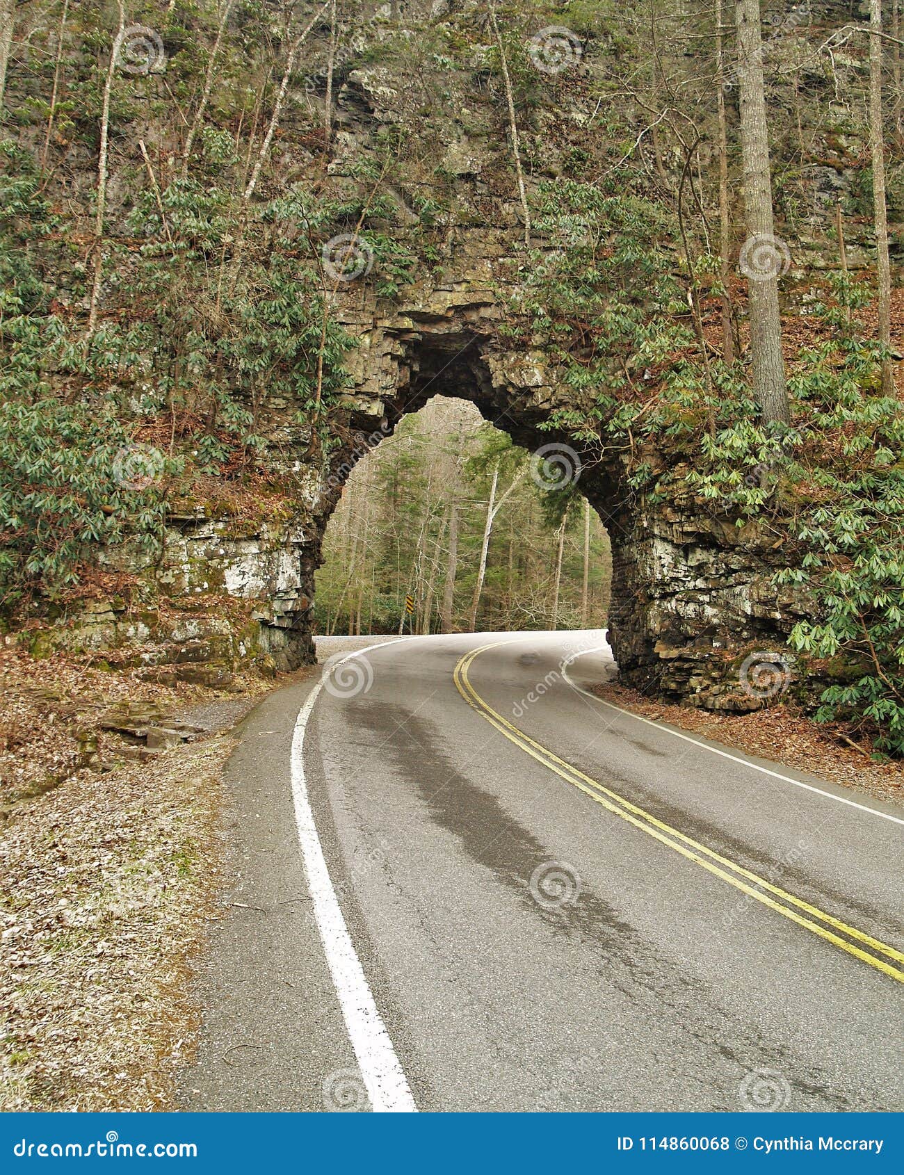Backbone Rock Tunnel in Tennessee Stock Photo - Image of rock, railroad ...
