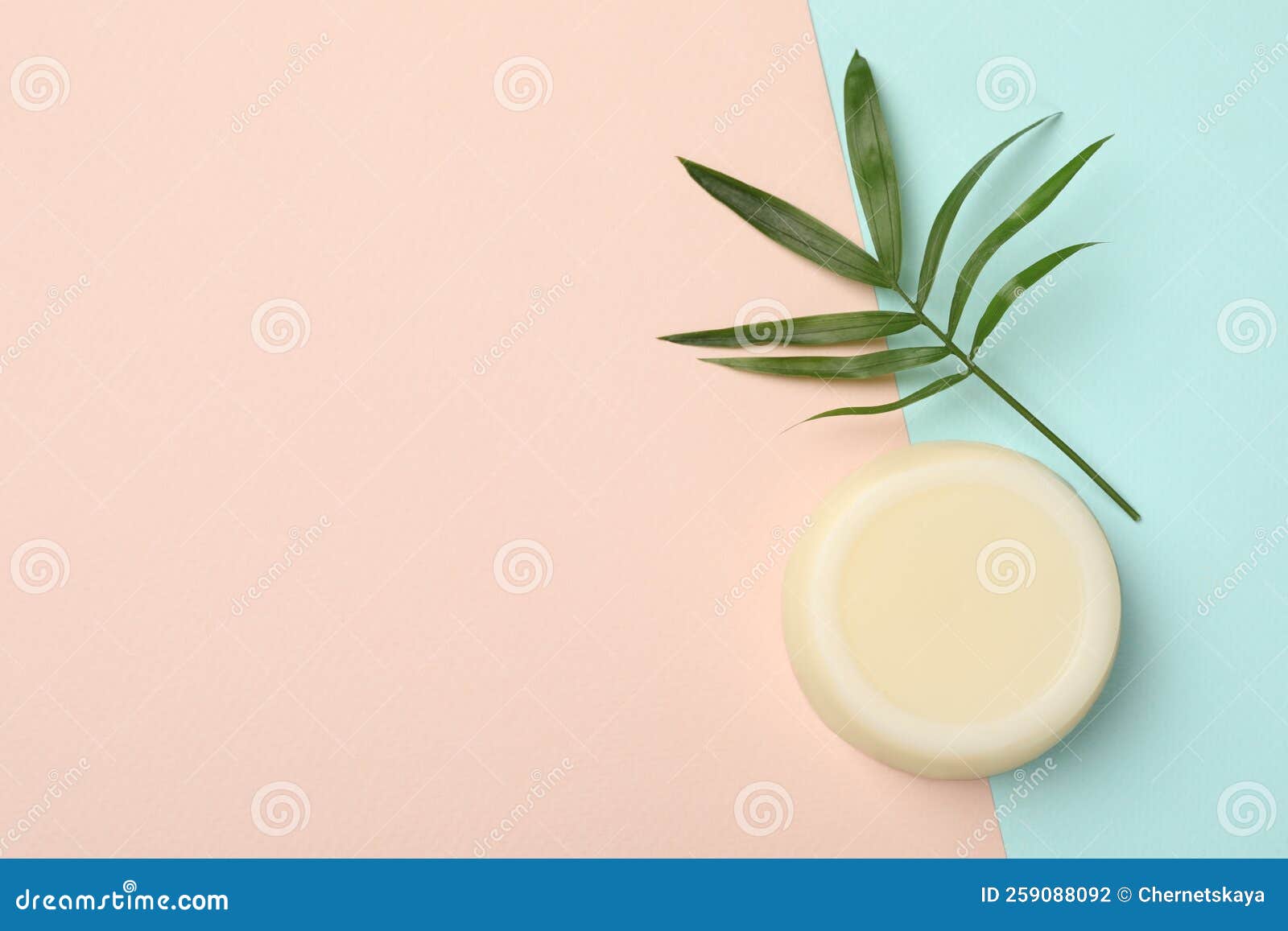 Solid Shampoo Bar and Leaf on Color Background, Top View. Space for ...