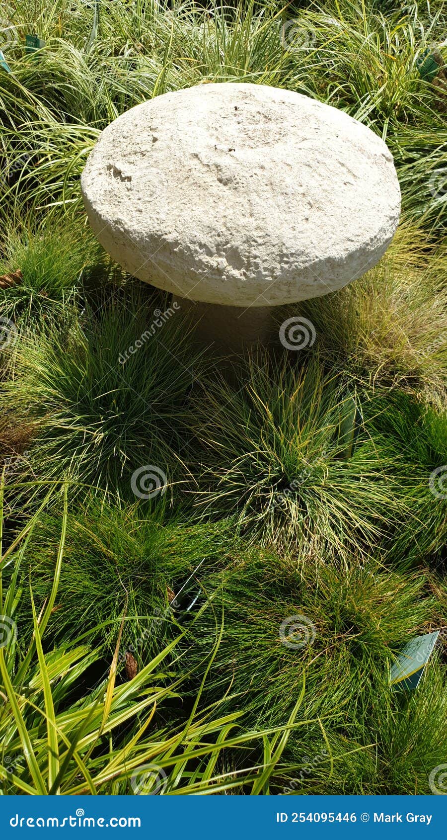 Solid Toadstool editorial photo. Image of stone, toadstool - 254095446