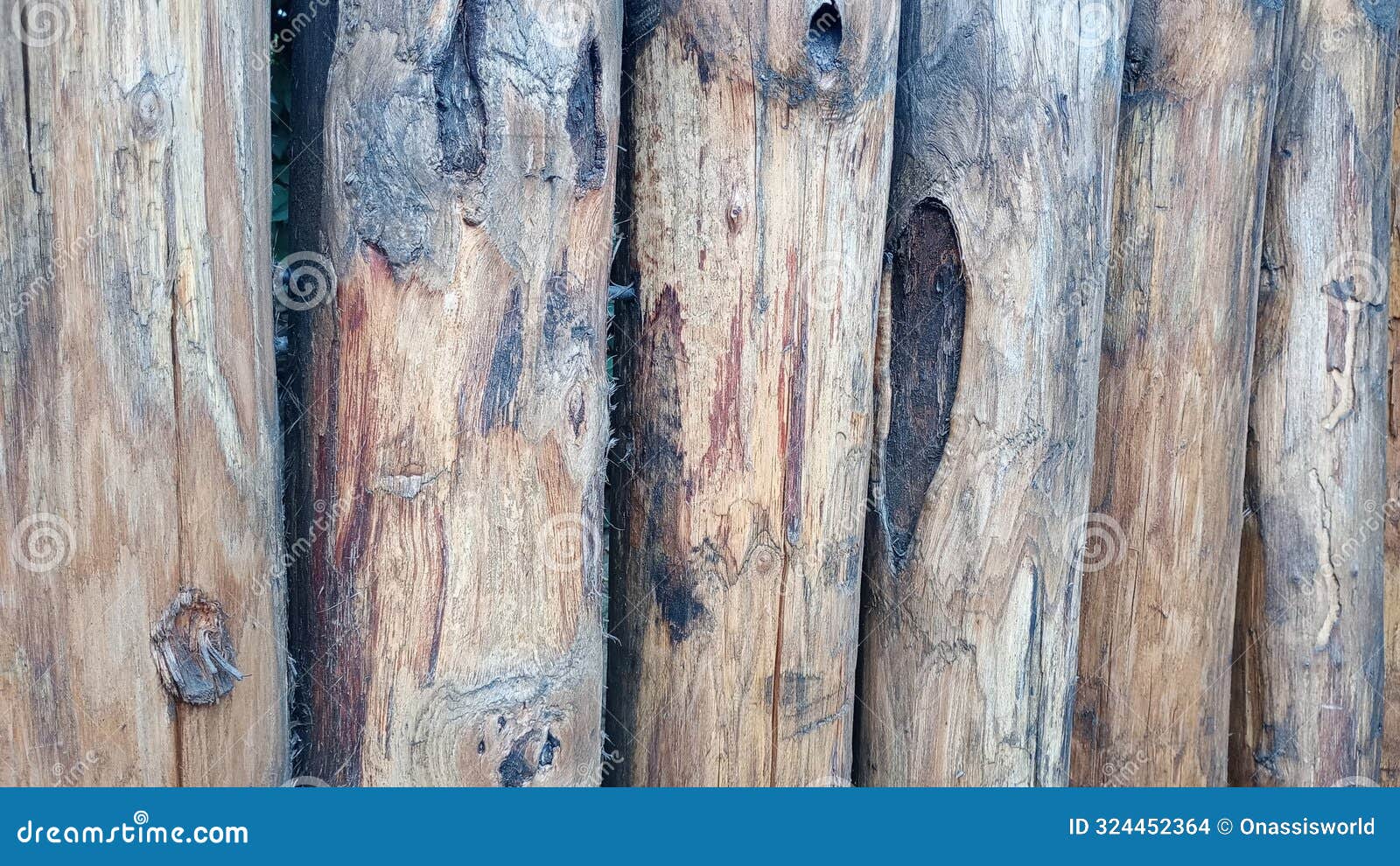 Solid Wood Cut Tree Stumps Fencing Stock Photo - Image of solid, stumps ...