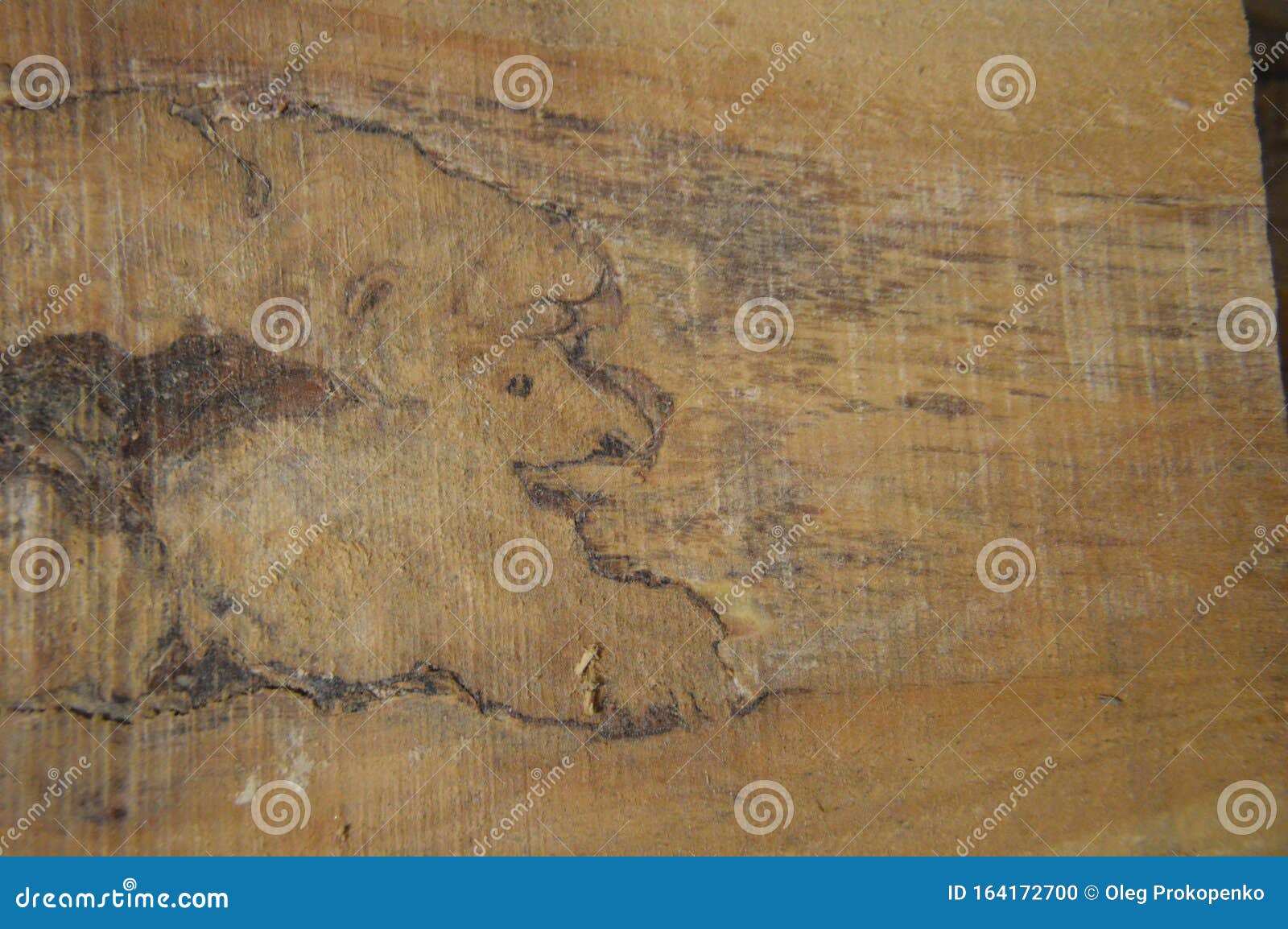 Solid Wood and Processed Lumber Surface Textures Stock Photo - Image of ...