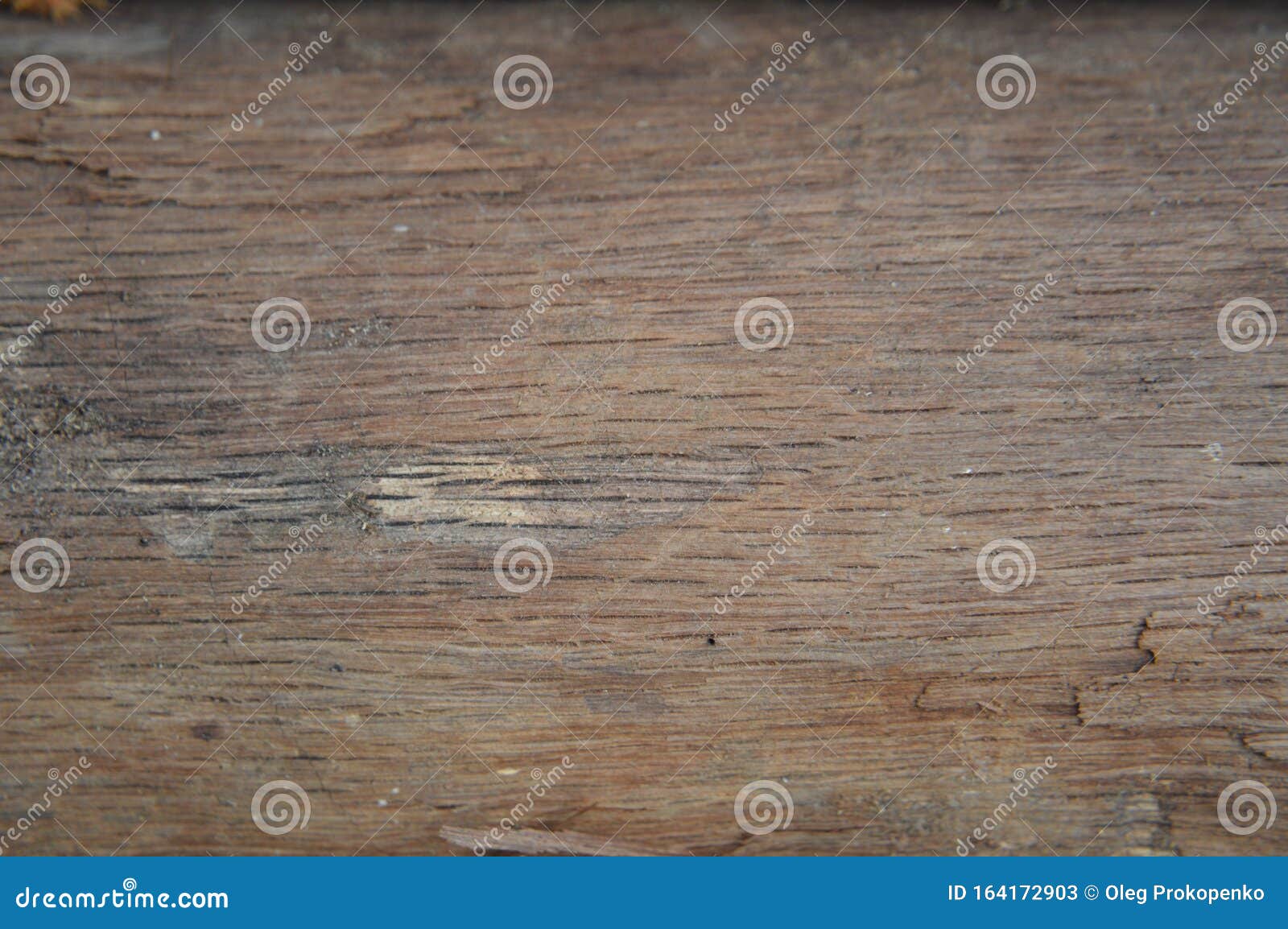 Solid Wood and Processed Lumber Surface Textures Stock Image - Image of ...