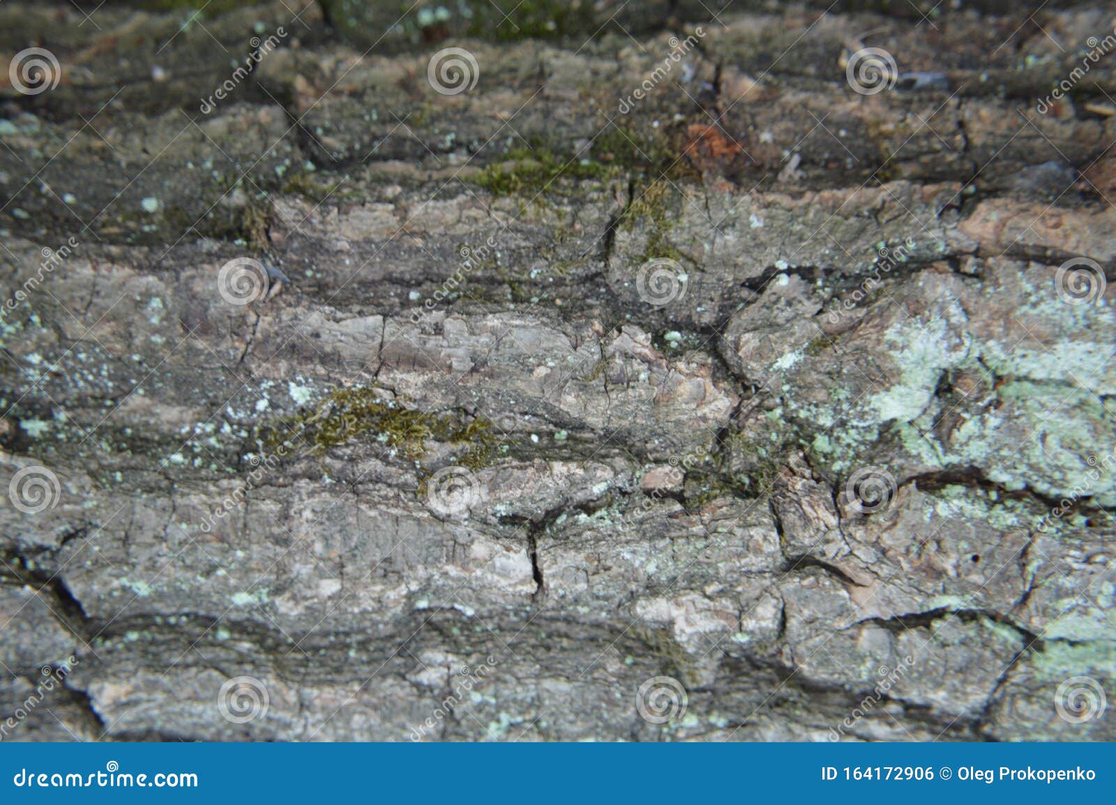 Solid Wood and Processed Lumber Surface Textures Stock Photo - Image of ...