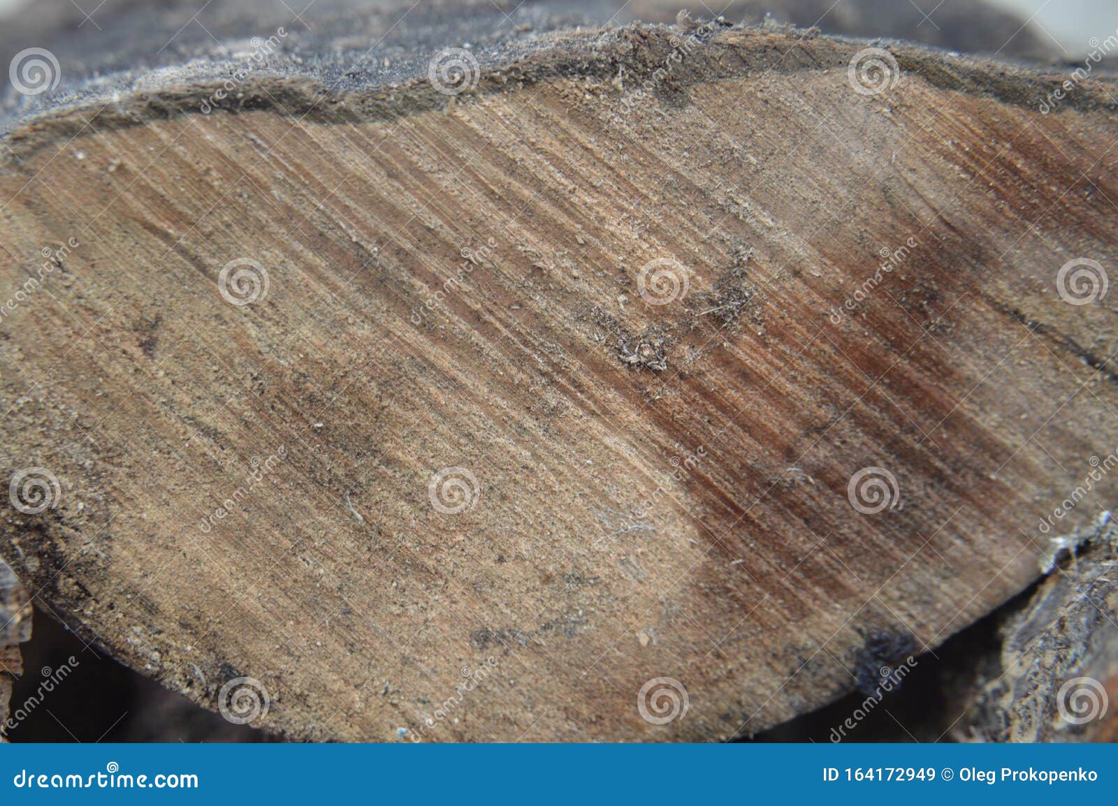 Solid Wood and Processed Lumber Surface Textures Stock Image - Image of ...