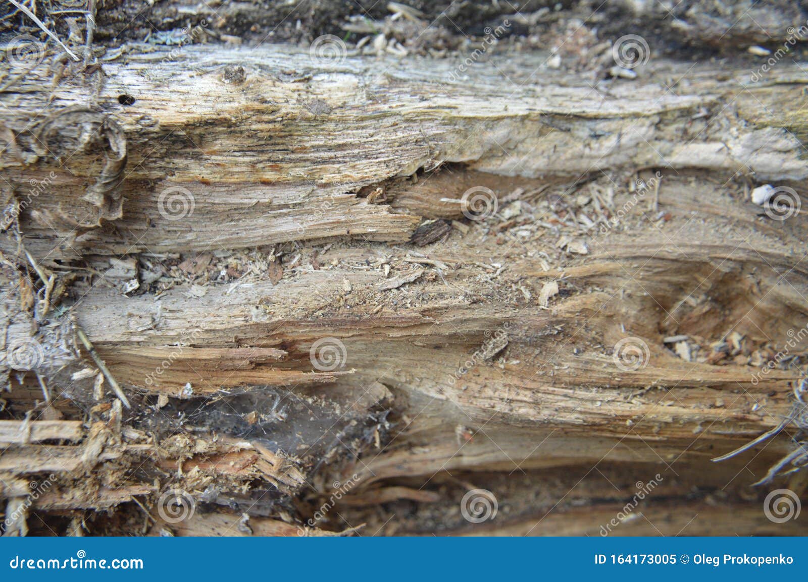 Solid Wood and Processed Lumber Surface Textures Stock Image - Image of ...