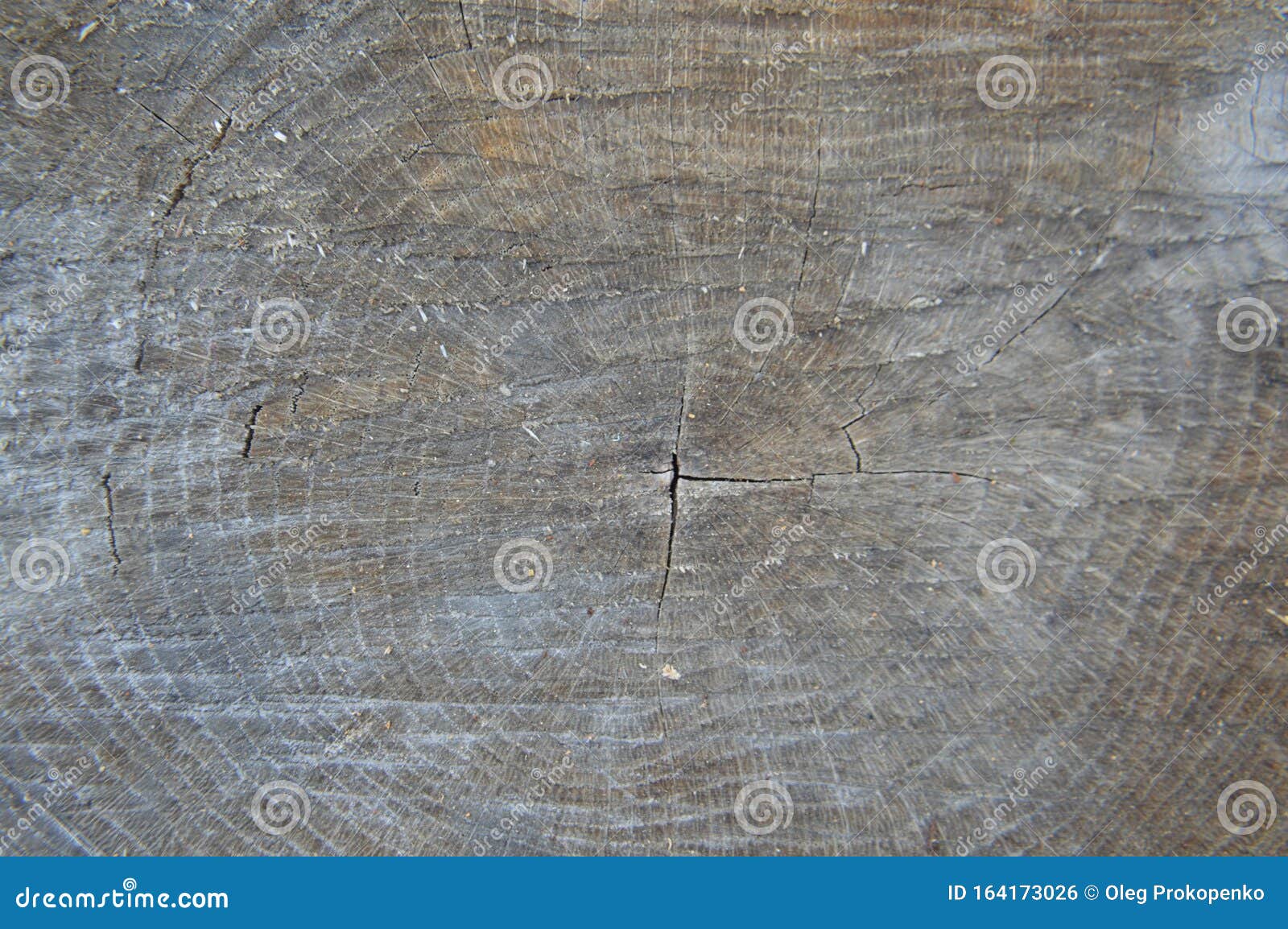 Solid Wood and Processed Lumber Surface Textures Stock Photo - Image of ...