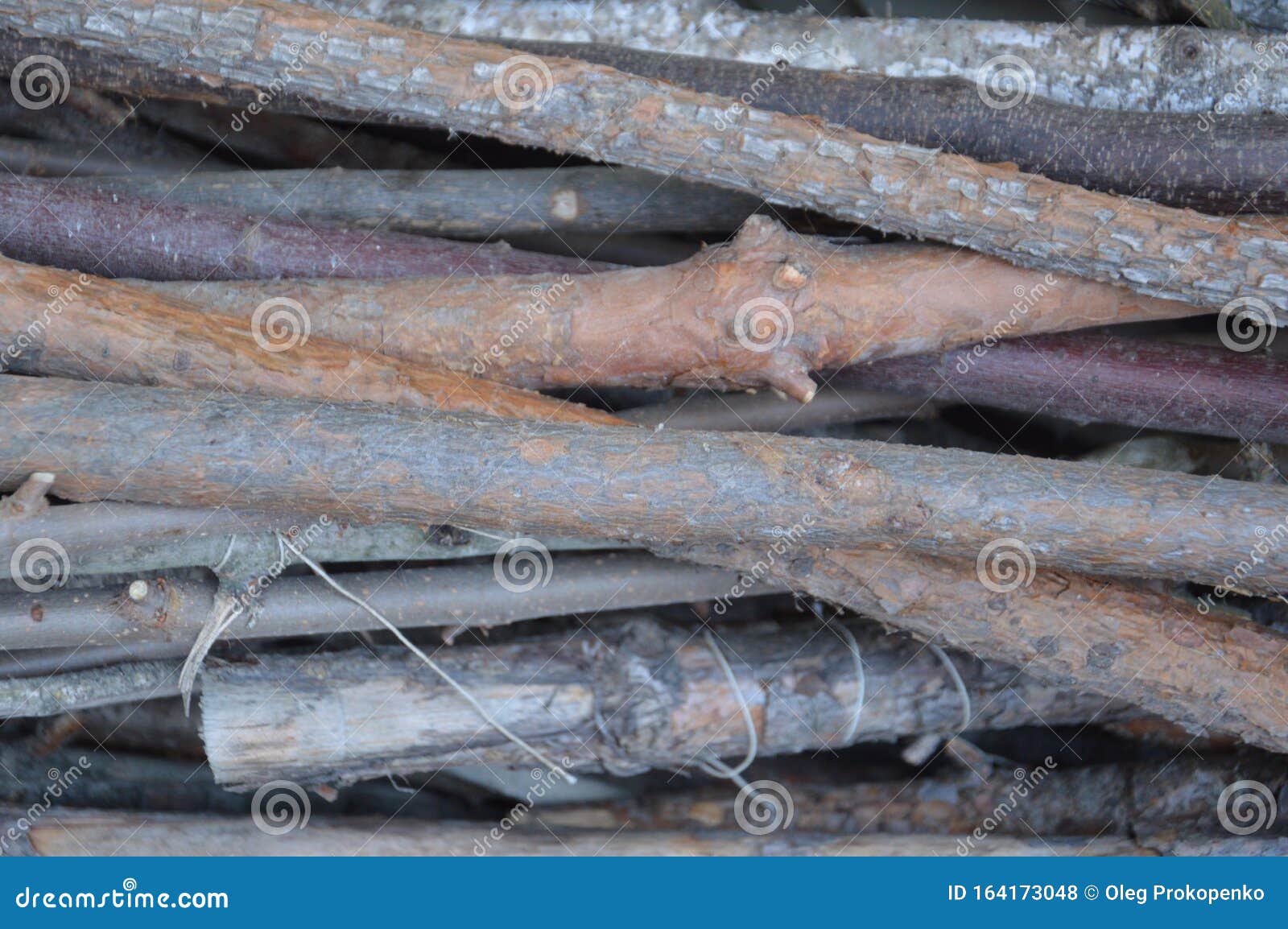 Solid Wood and Processed Lumber Surface Textures Stock Photo - Image of ...