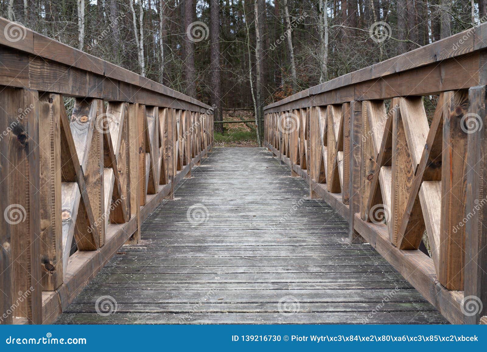 A Solid Wooden Bridge Over the Forested Wetlands. Forest Reserve of ...
