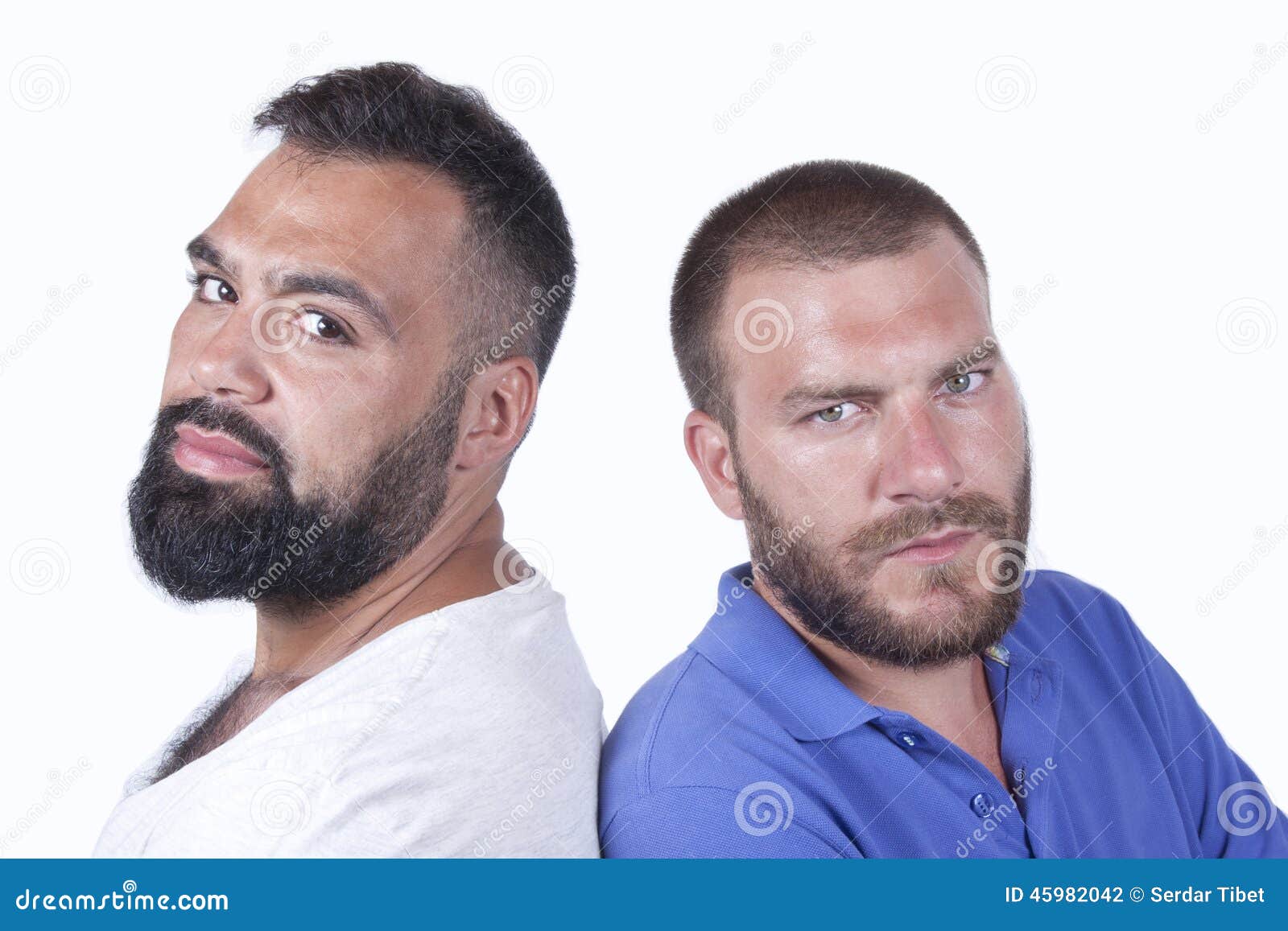 Solidarity stock photo. Image of modern, brown, back - 45982042