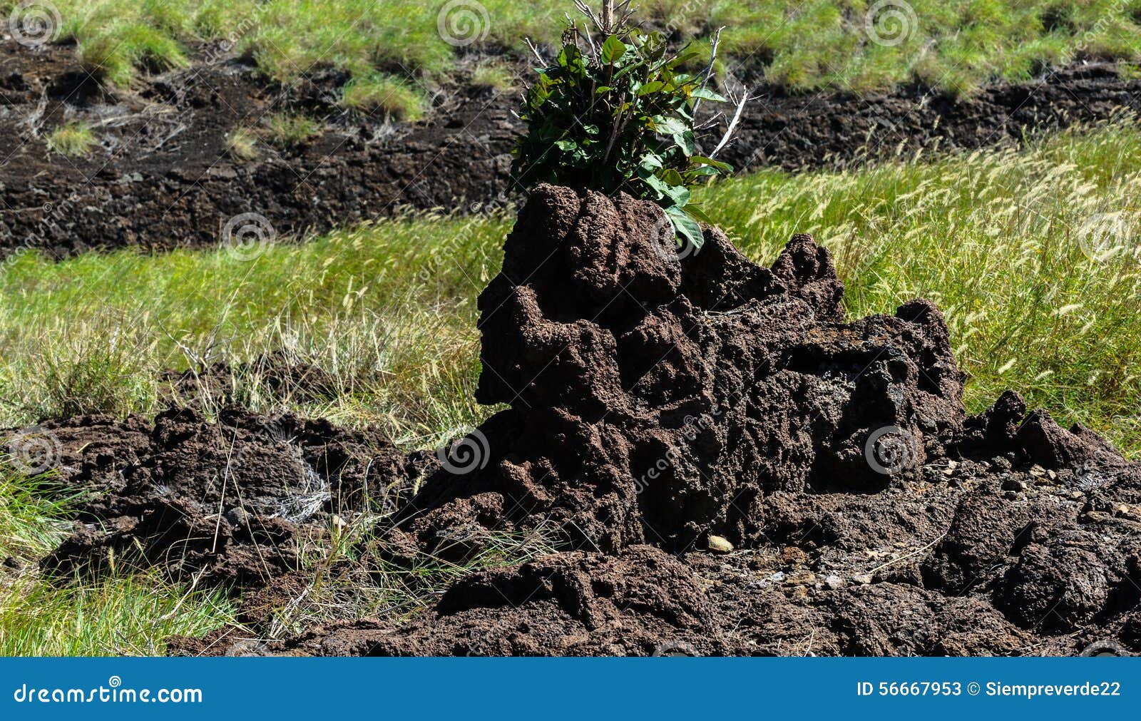 Solidified lava stock image. Image of natural, america - 56667953