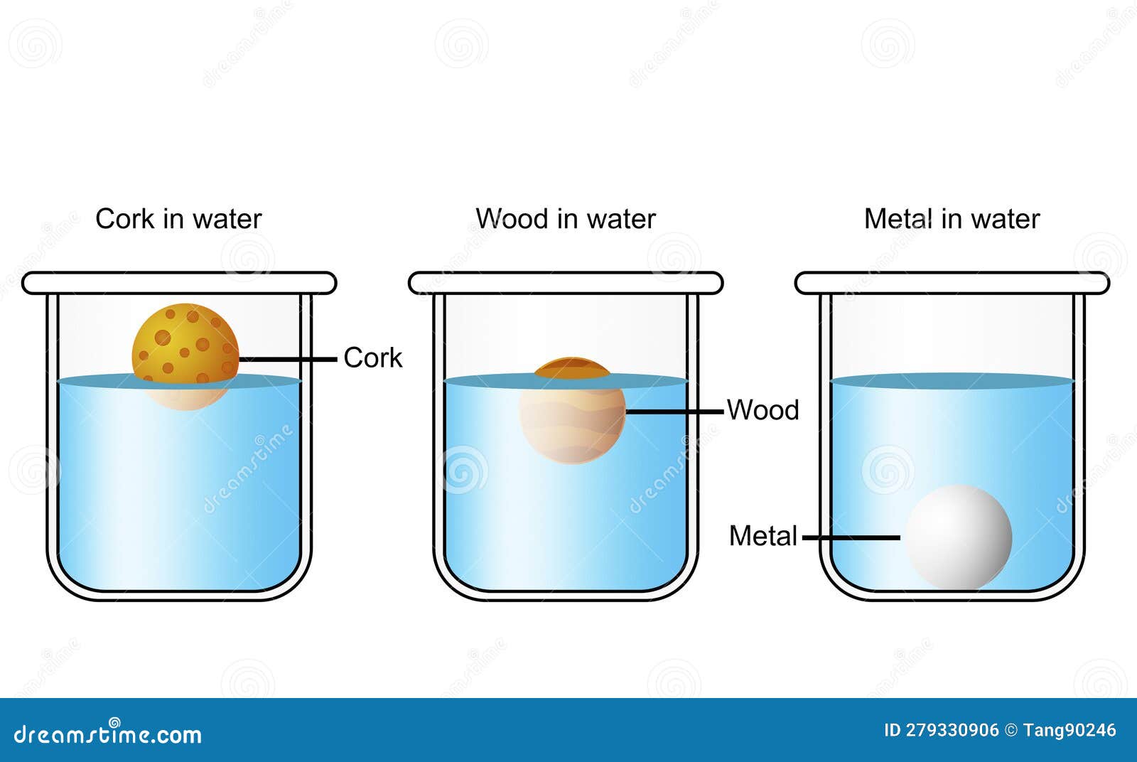 Solids Of Different Densities In Beakers Stock Photo | CartoonDealer ...