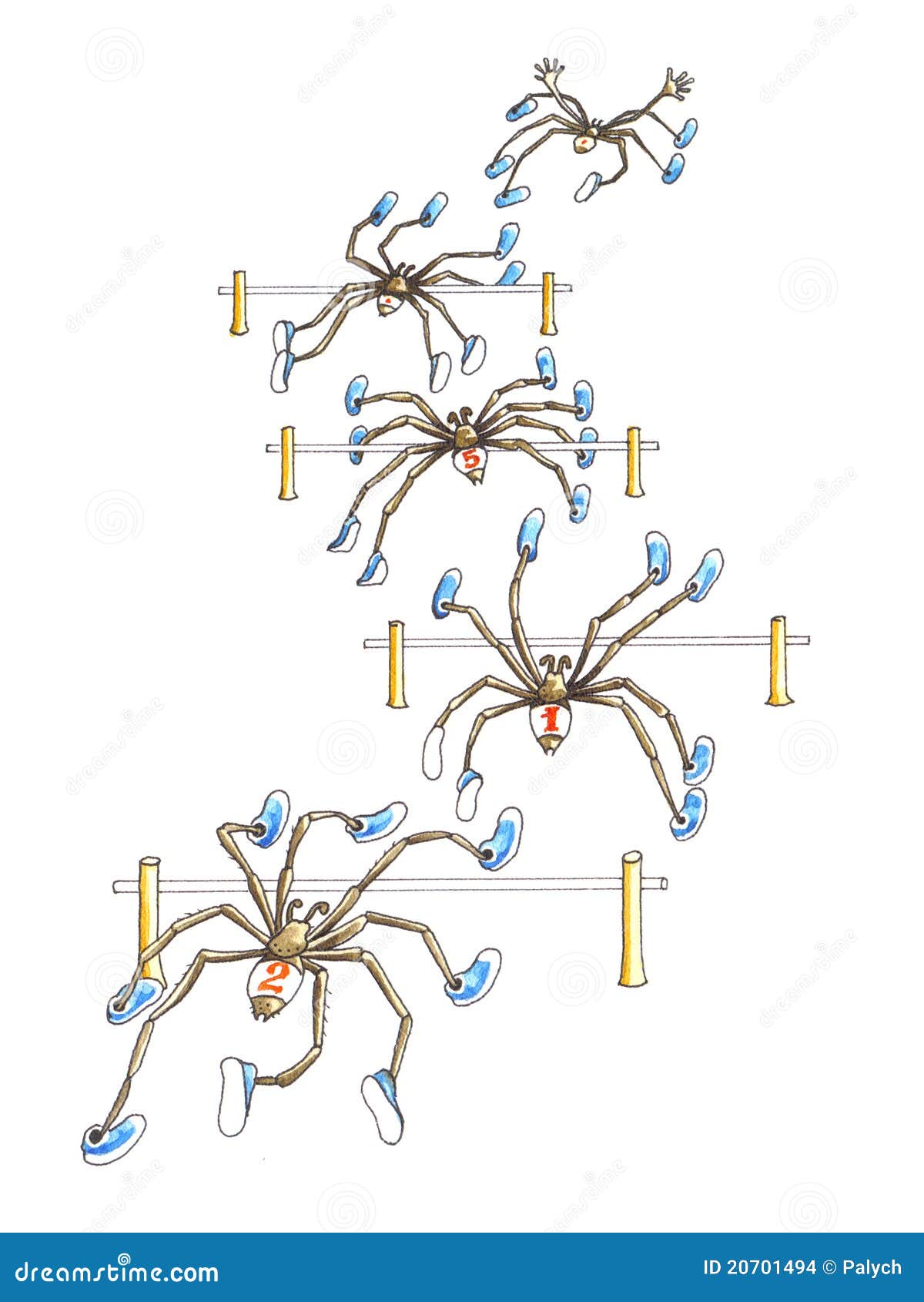 Solifugae stock illustration. Illustration of painted - 20701494