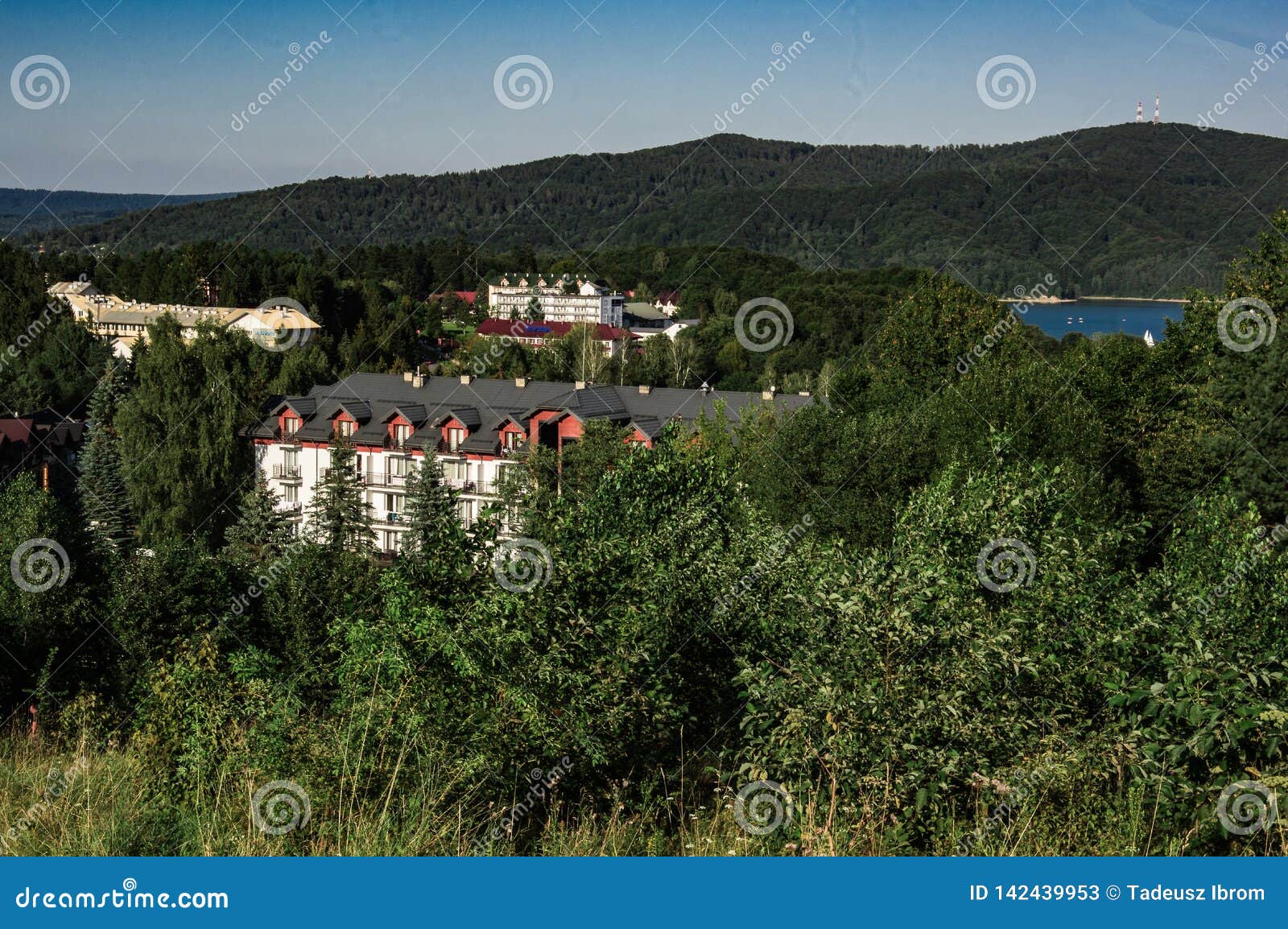 Solina lake editorial stock photo. Image of karpaty - 142439953