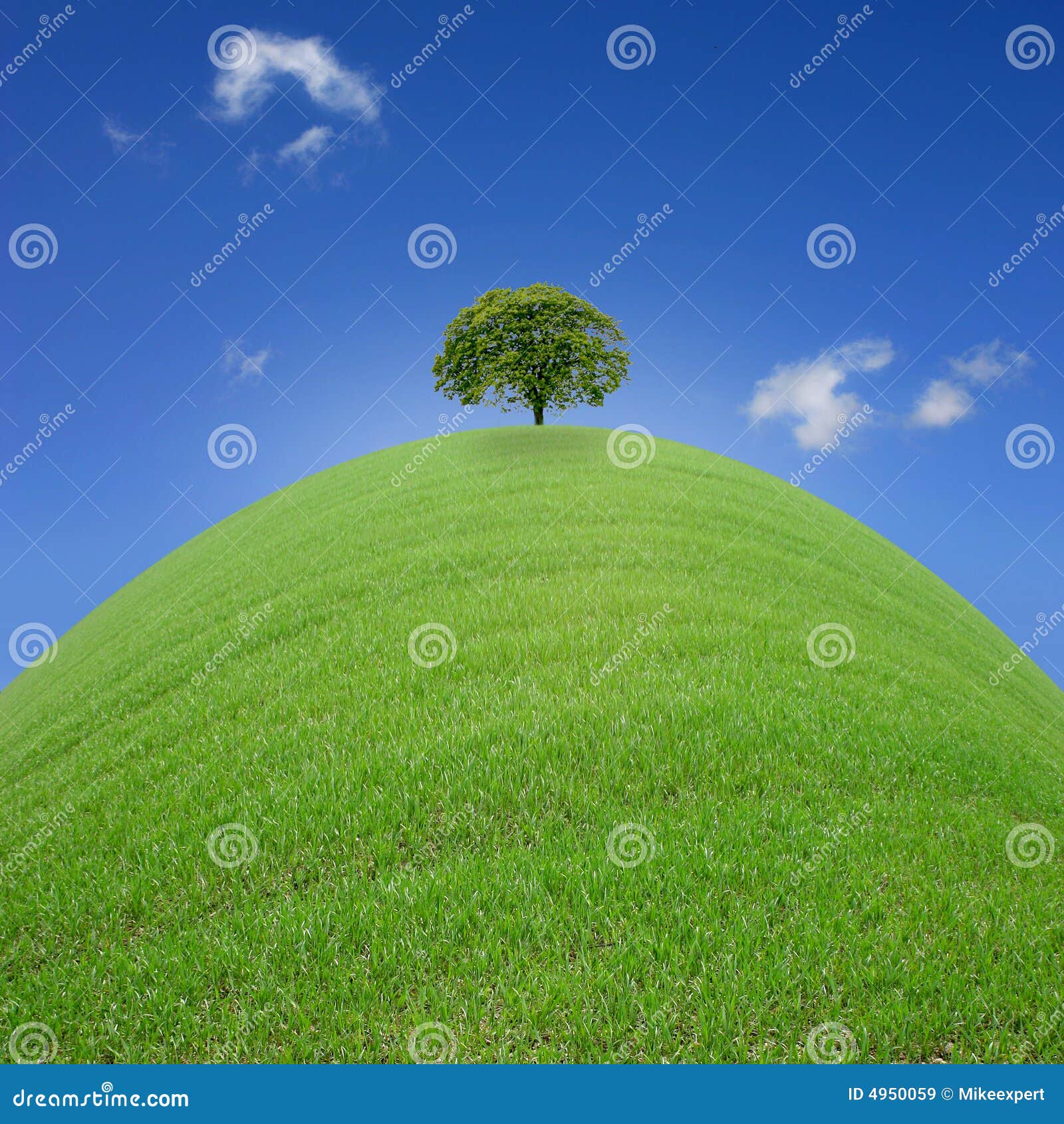 Solitaire boom stock afbeelding. Image of wolk, platteland - 4950059