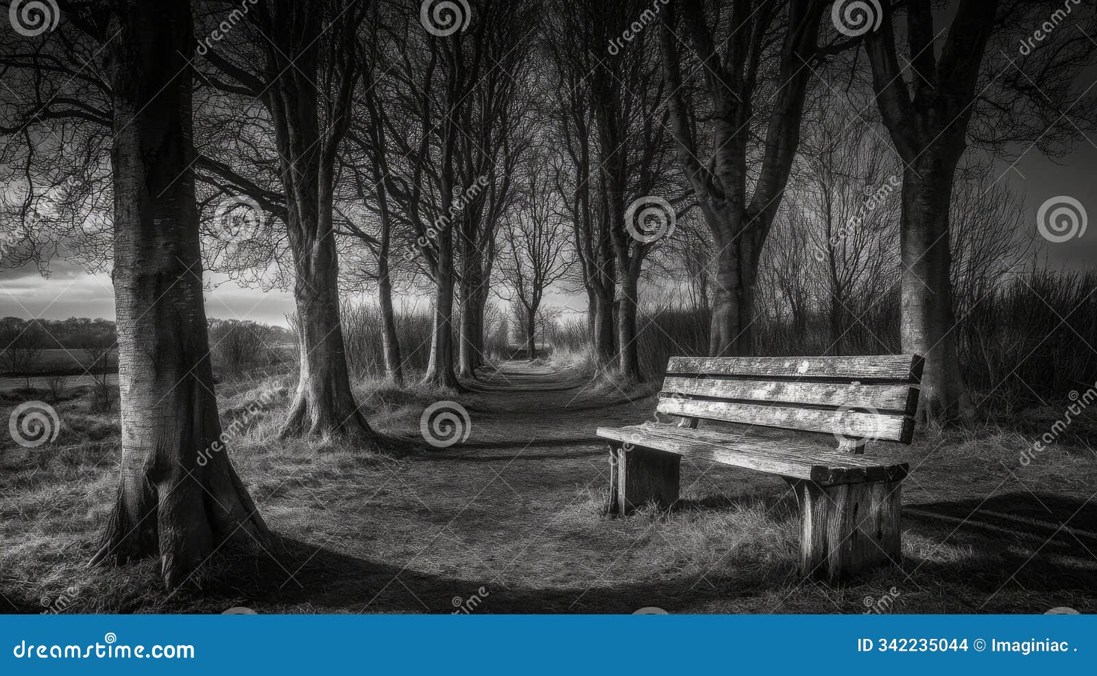 A Solitary Bench In A Rundown Public Park Overshadowed By The Skyline ...