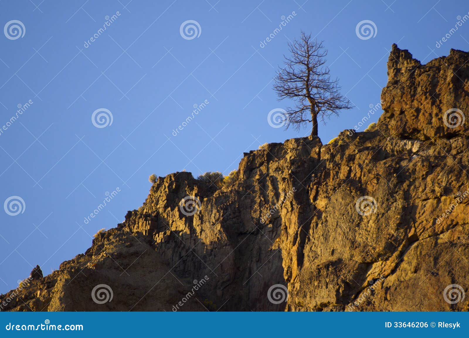 A solitary sentinel tree. stock photo. Image of geology - 33646206