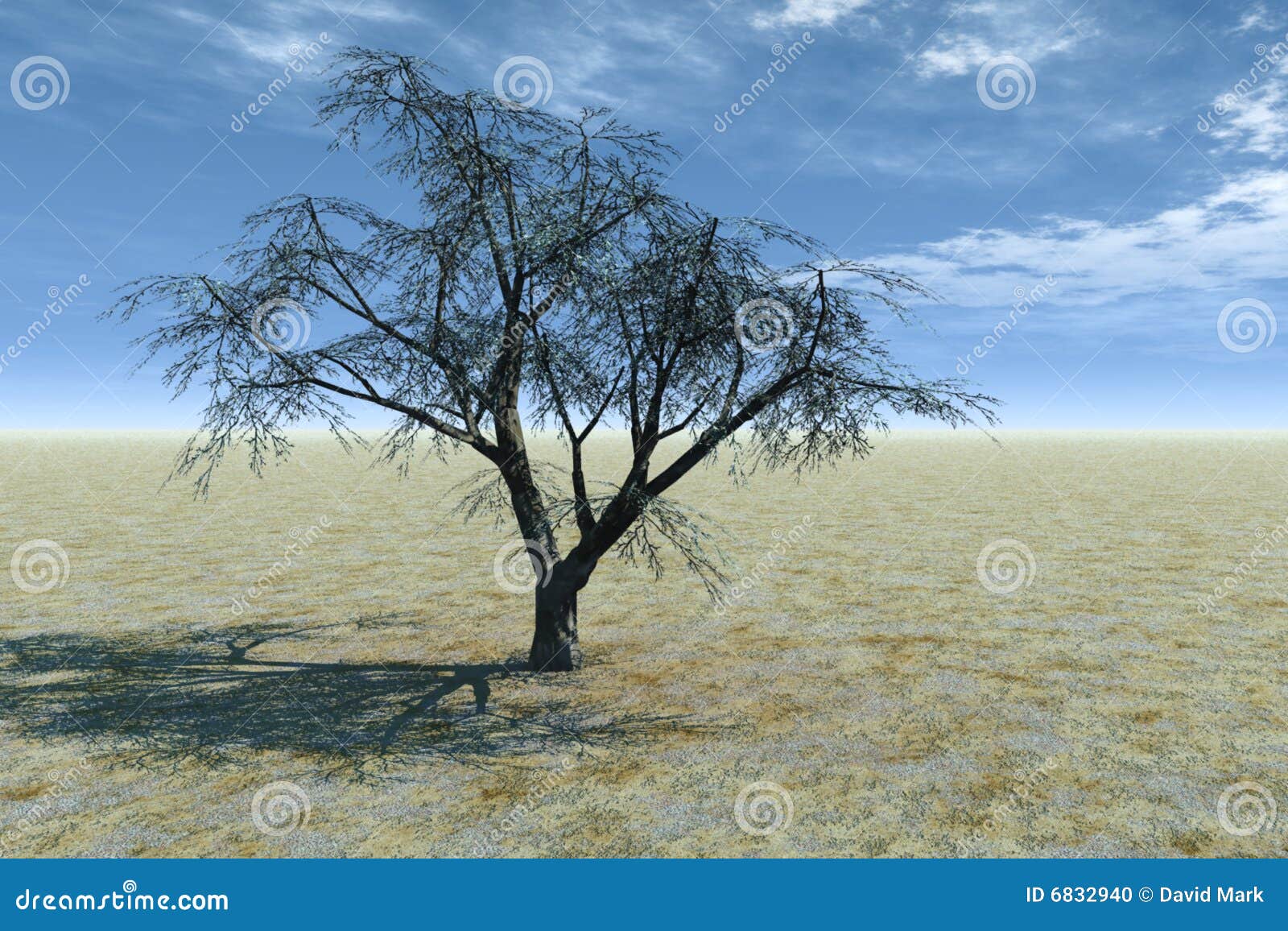Solitary Tree stock illustration. Illustration of plants - 6832940