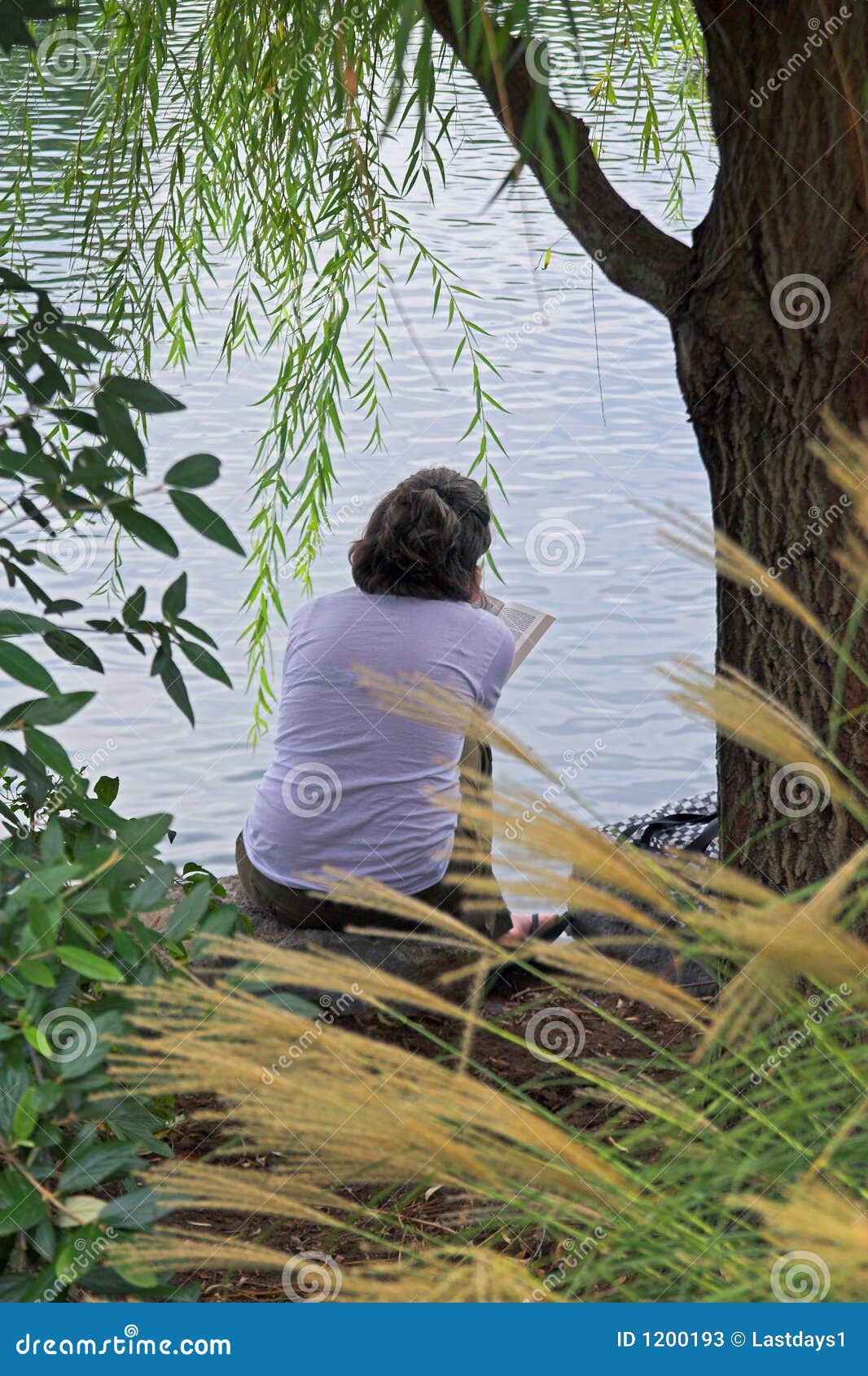 Solitude stock image. Image of book, lady, separated, mystery - 1200193