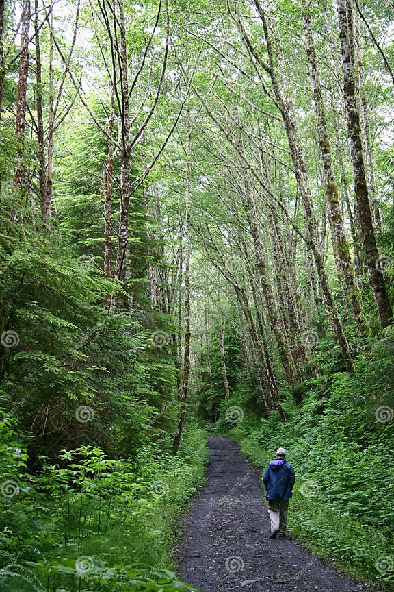 Solitude stock image. Image of west, hike, outdoors, walk - 5106661
