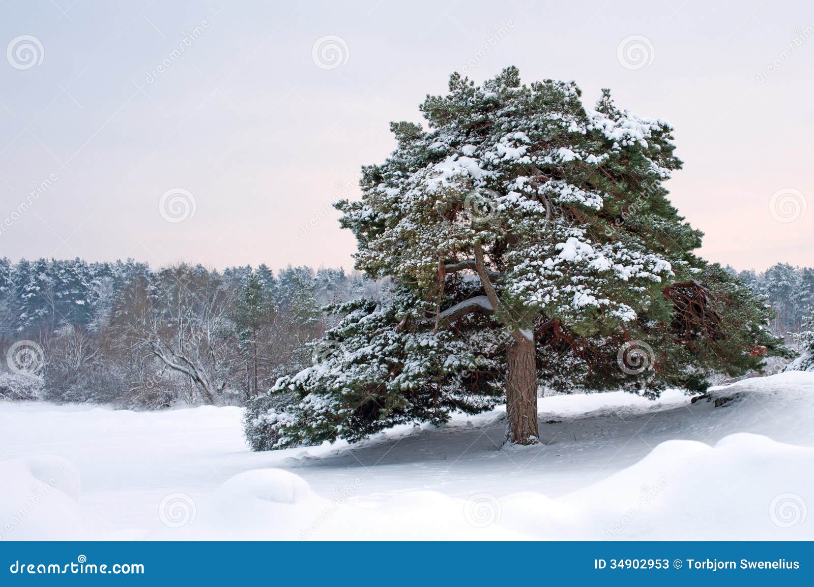 Solitude stock image. Image of winter, blue, sweden, uppland - 34902953