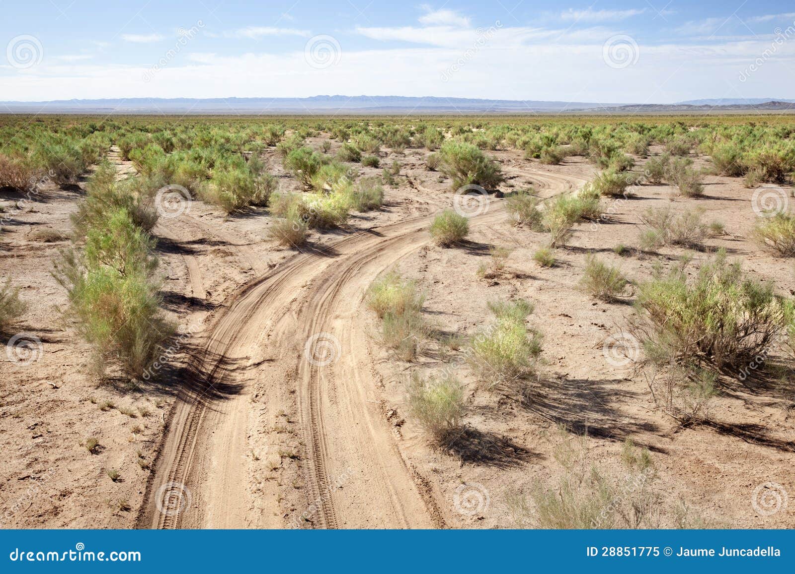 Solitude in the desert stock image. Image of nonurban - 28851775