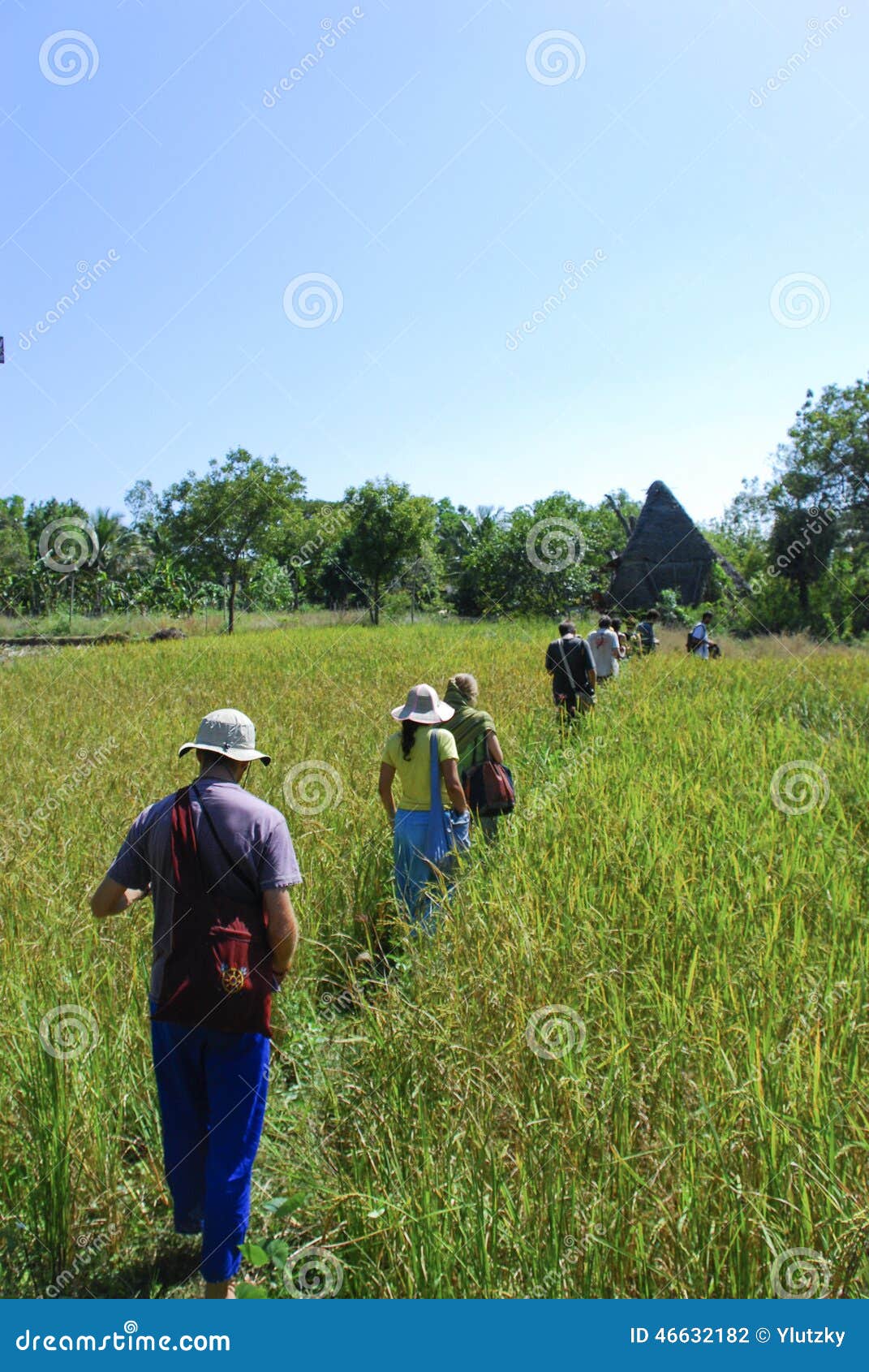 Solitude farm in Auroville editorial photography. Image of environment ...