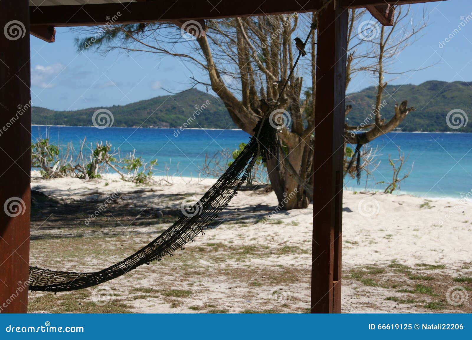 Solitude on the Island in the Ocean Stock Image - Image of light ...