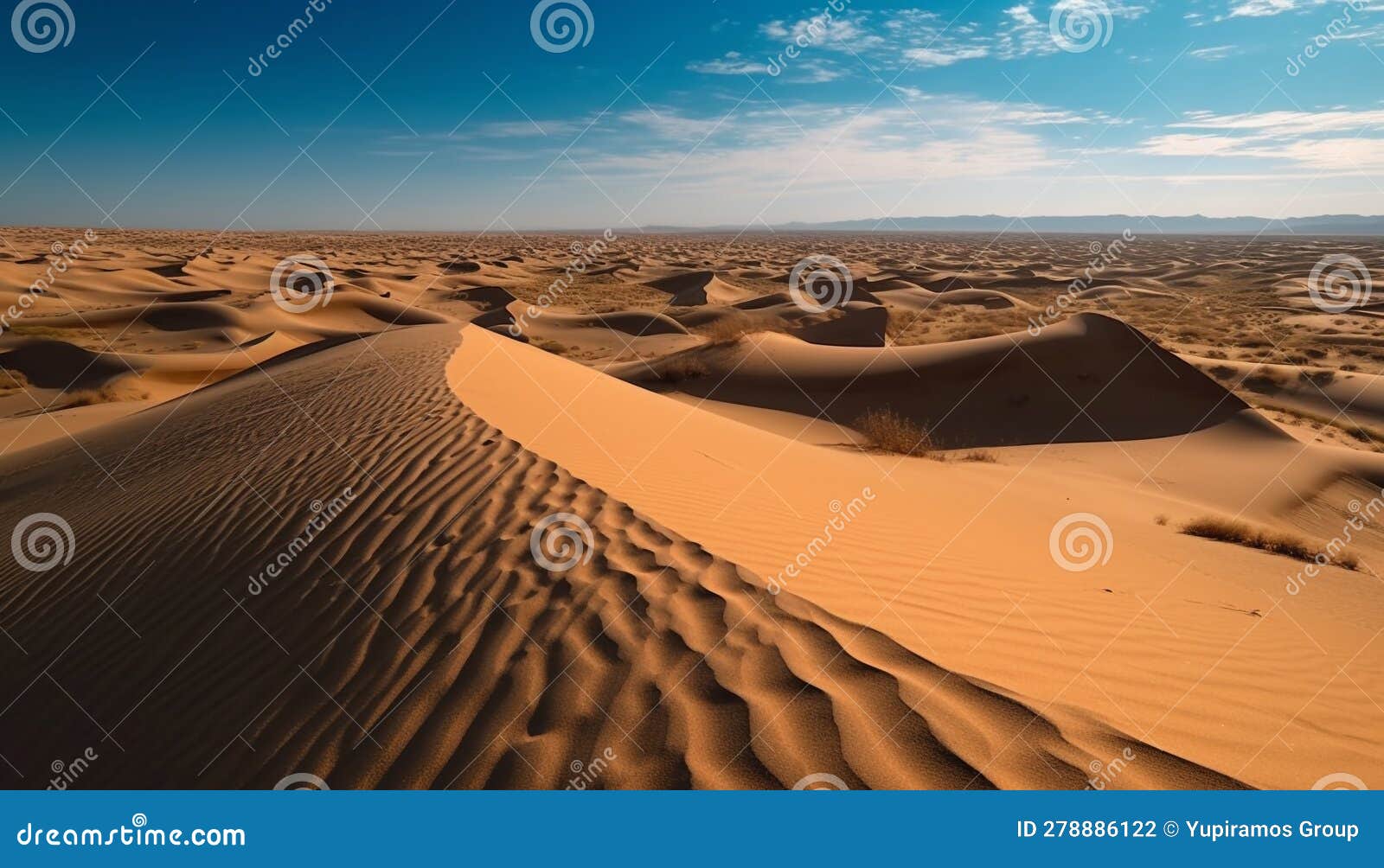 Solitude in the Majestic Wilderness Area, Striped Sand Dunes Ripple ...