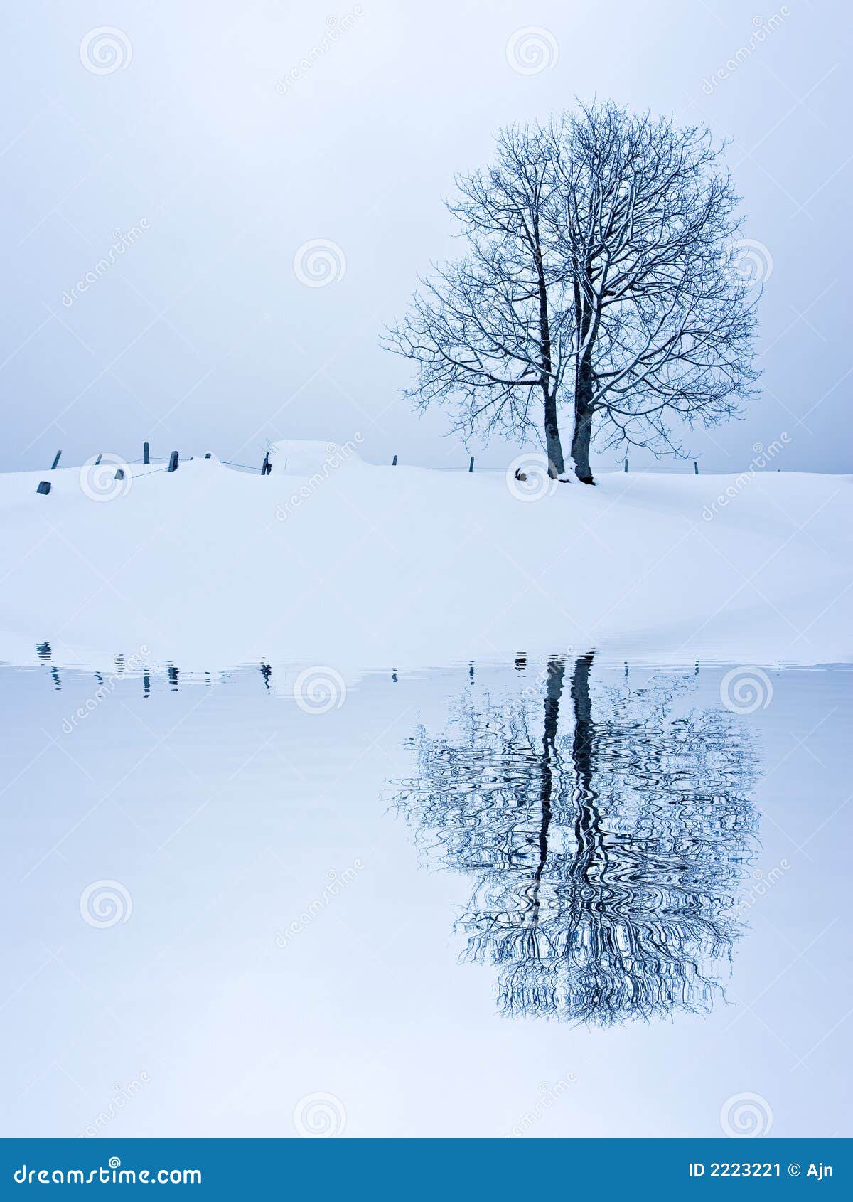 Solitude Standing stock image. Image of frost, beauty - 2223221