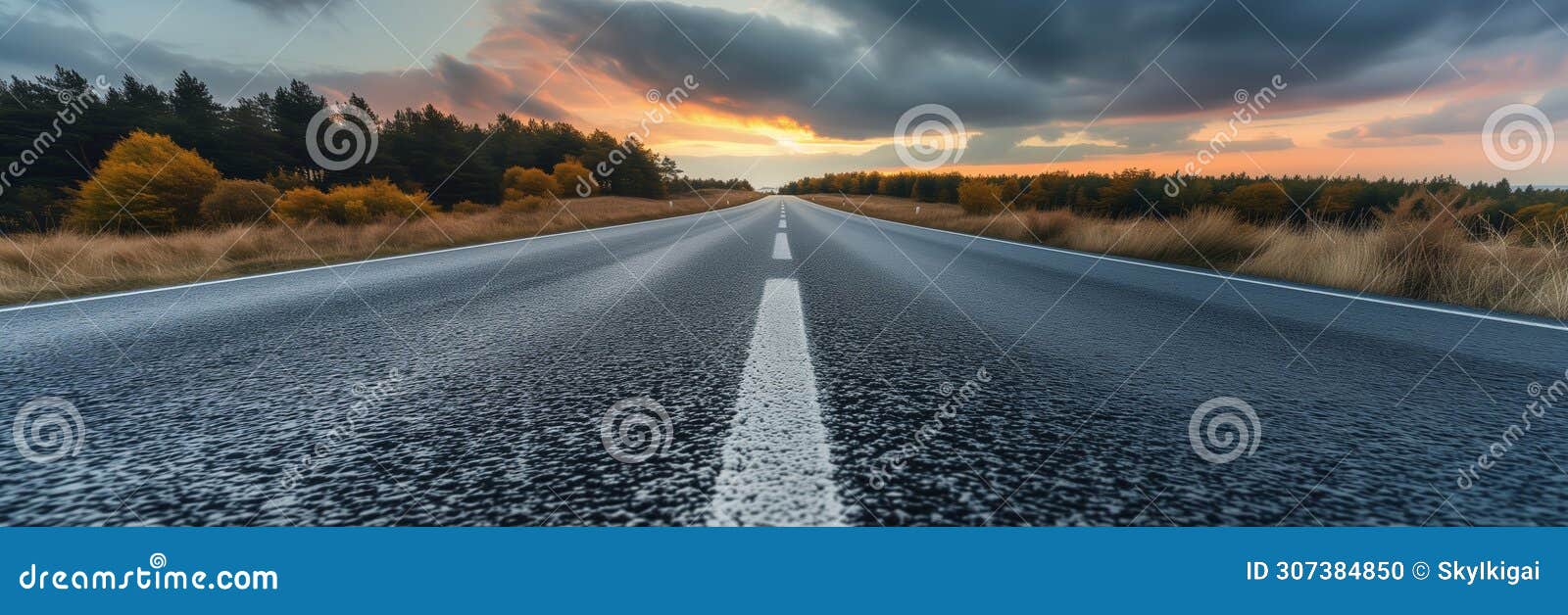 Solitudes Path: a Desolate Road Under a Brooding Sky Stock Illustration ...