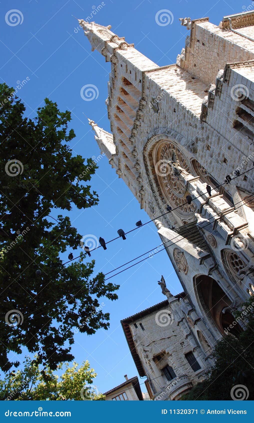 Soller Cathedral stock image. Image of trees, spanish - 11320371