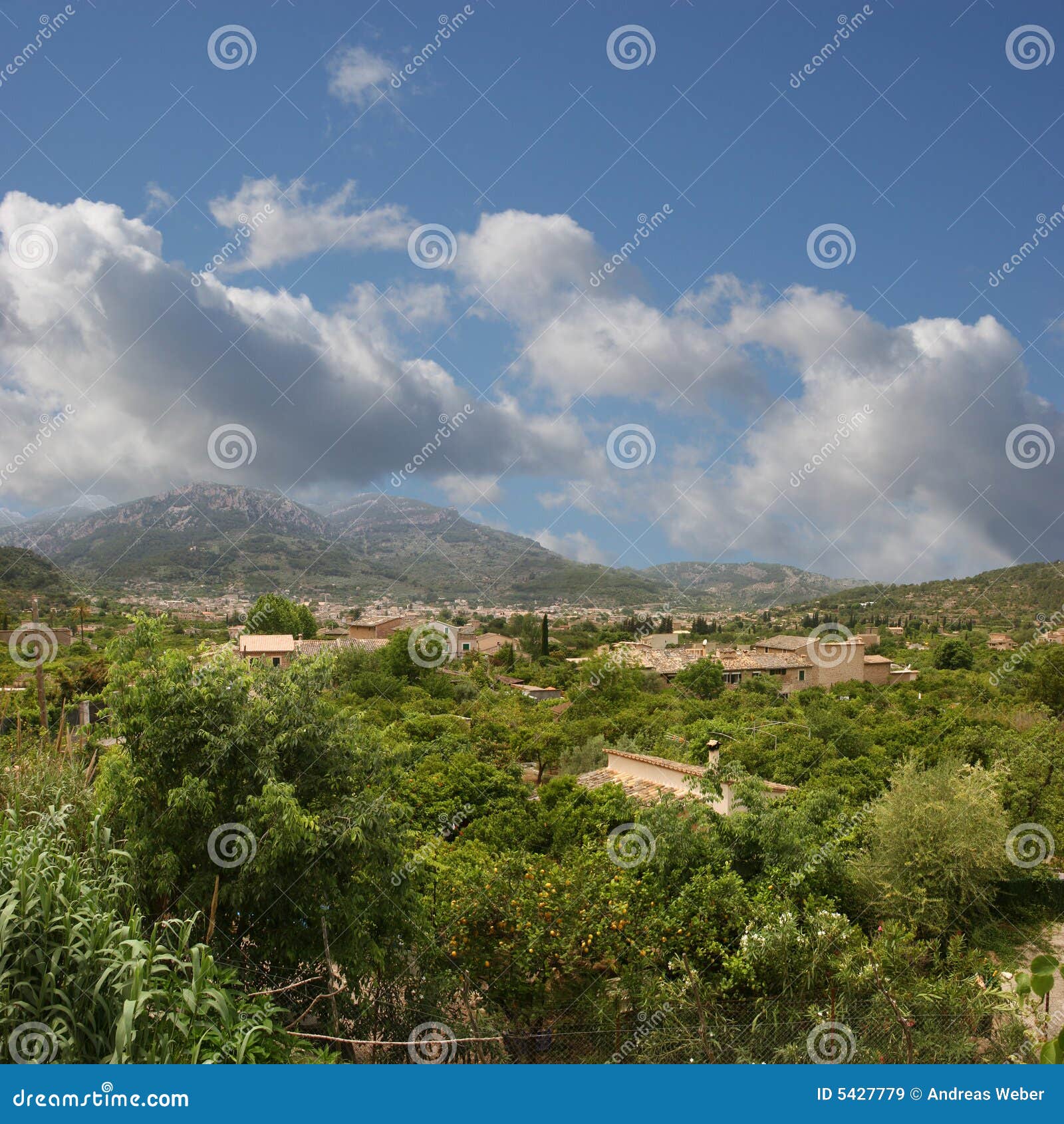 Soller (Mallorca) with His Orange Gardens Stock Image - Image of summer ...
