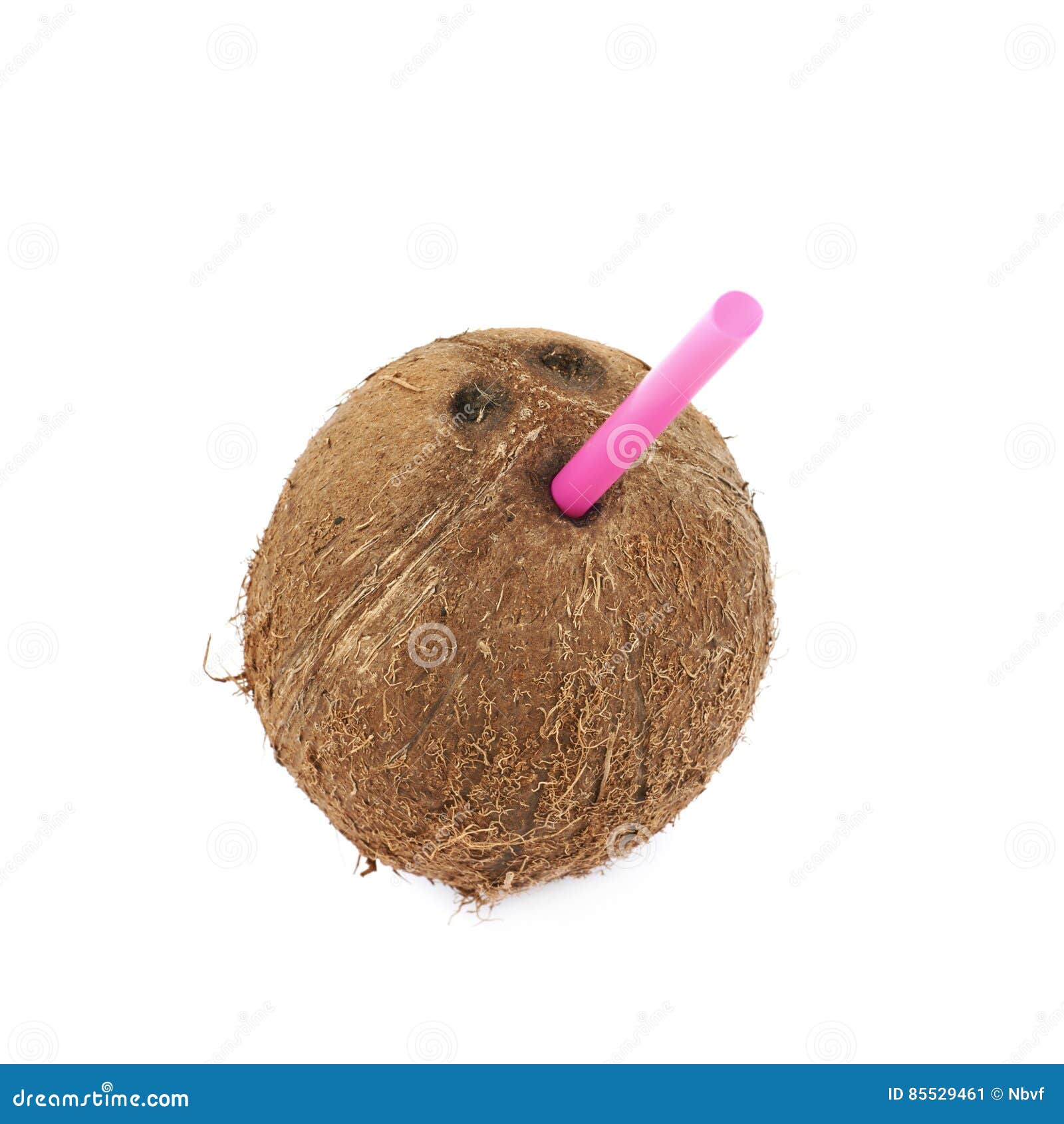 Solo coco entero aislado imagen de archivo. Imagen de fruta - 85529461
