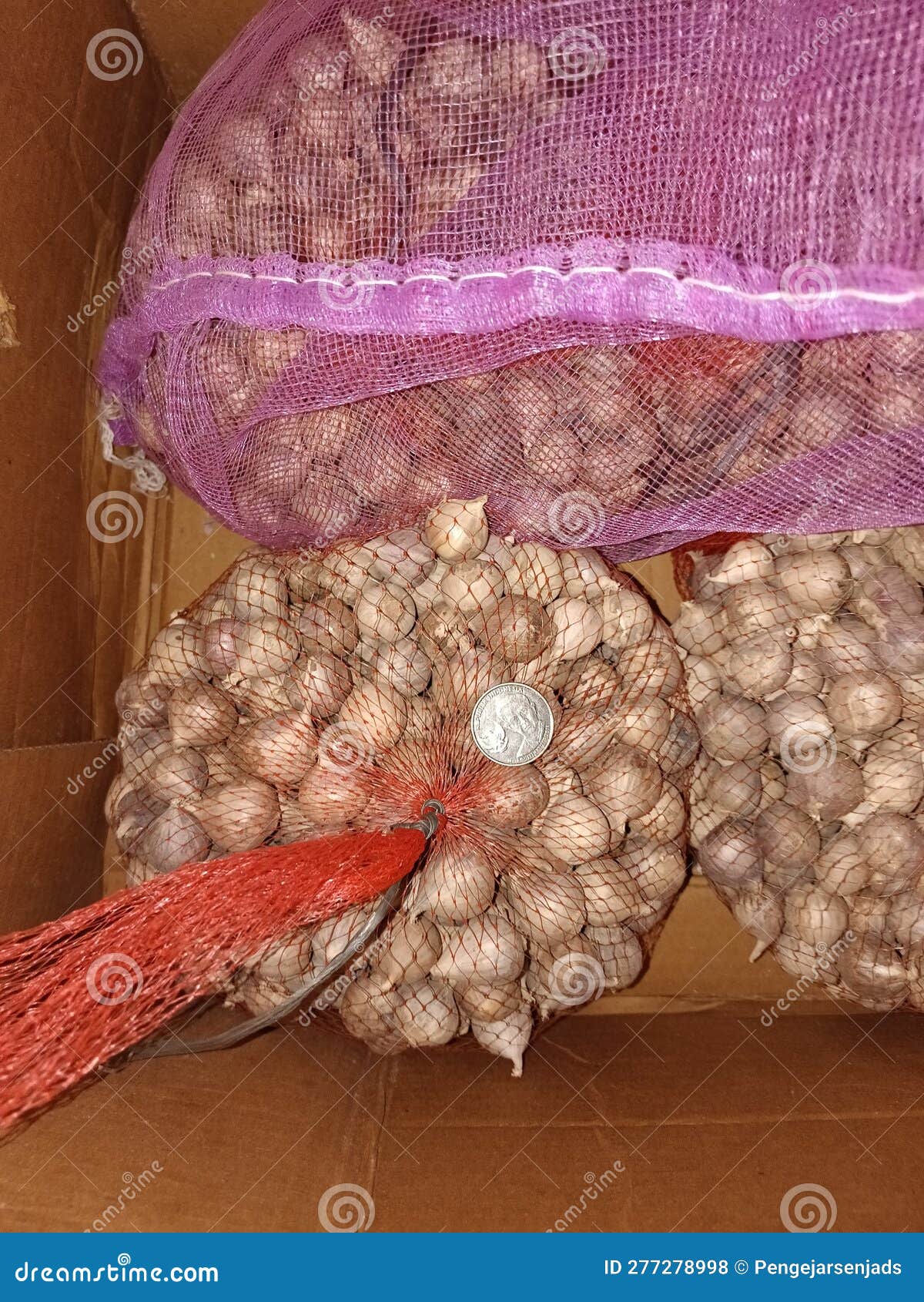 Solo Garlic, Also Known As Single Clove , Monobulb Stock Photo - Image ...